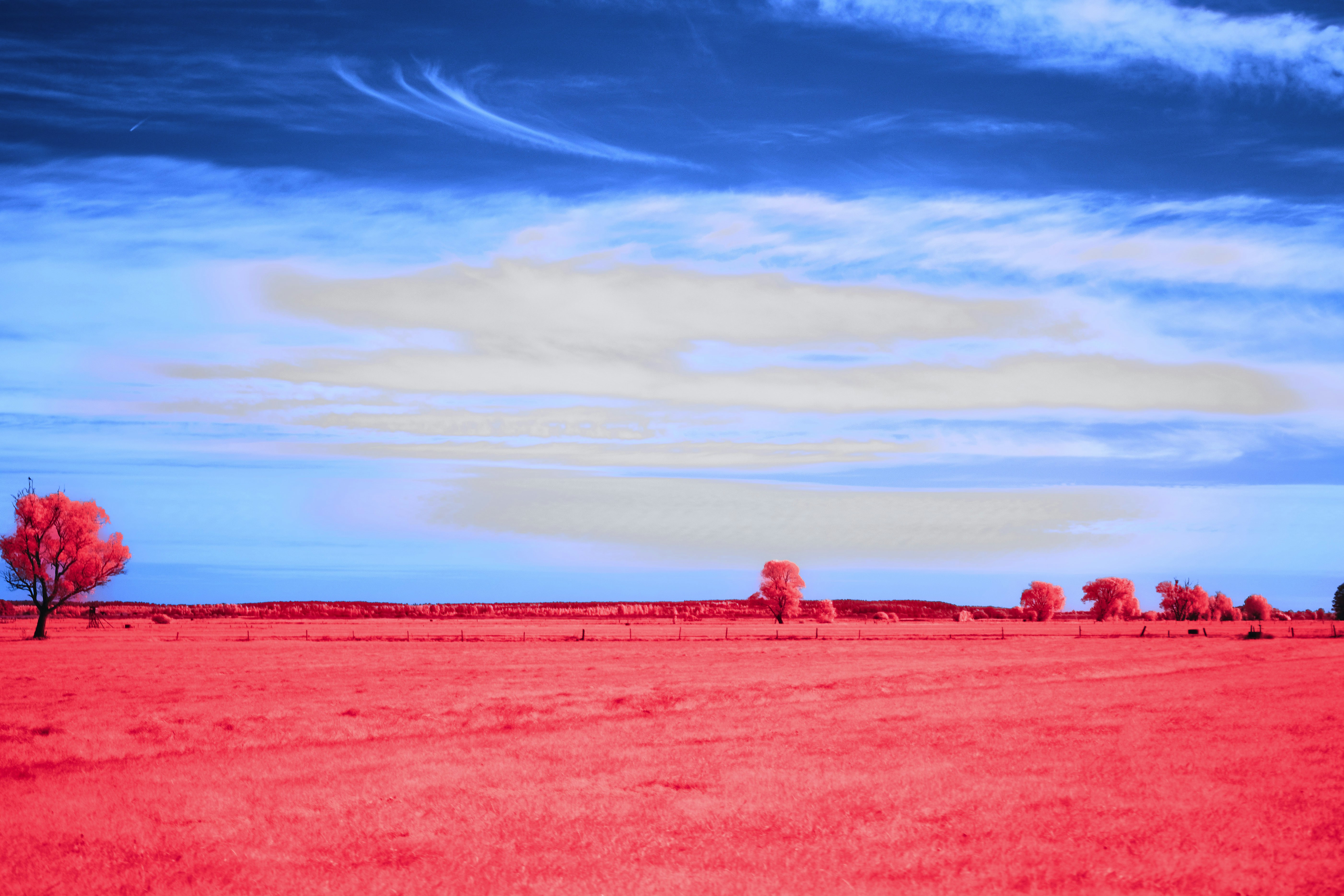 Crimson Prairie Under a Cerulean Sky