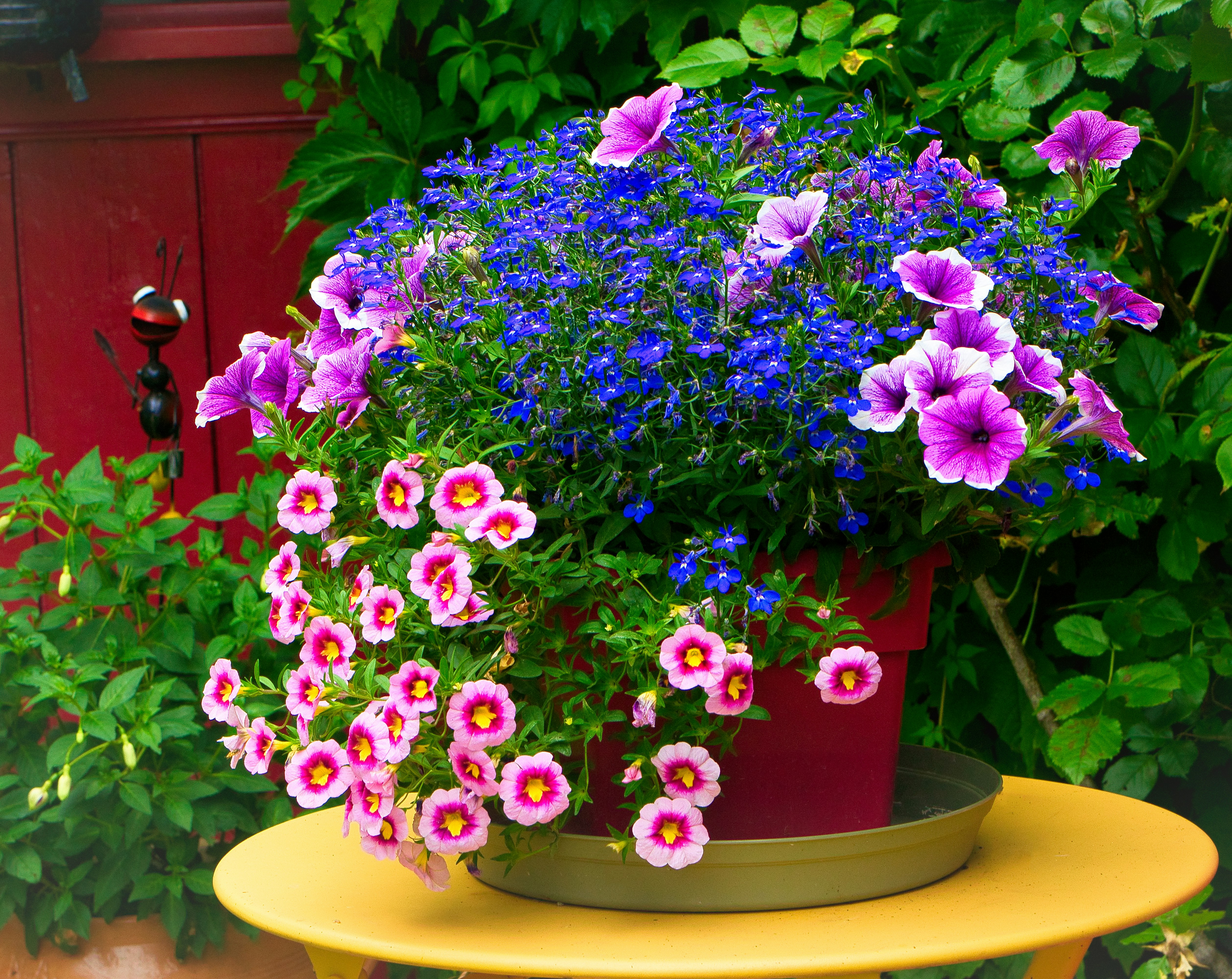Vivid Petal Mosaic in a Sunlit Balcony Garden