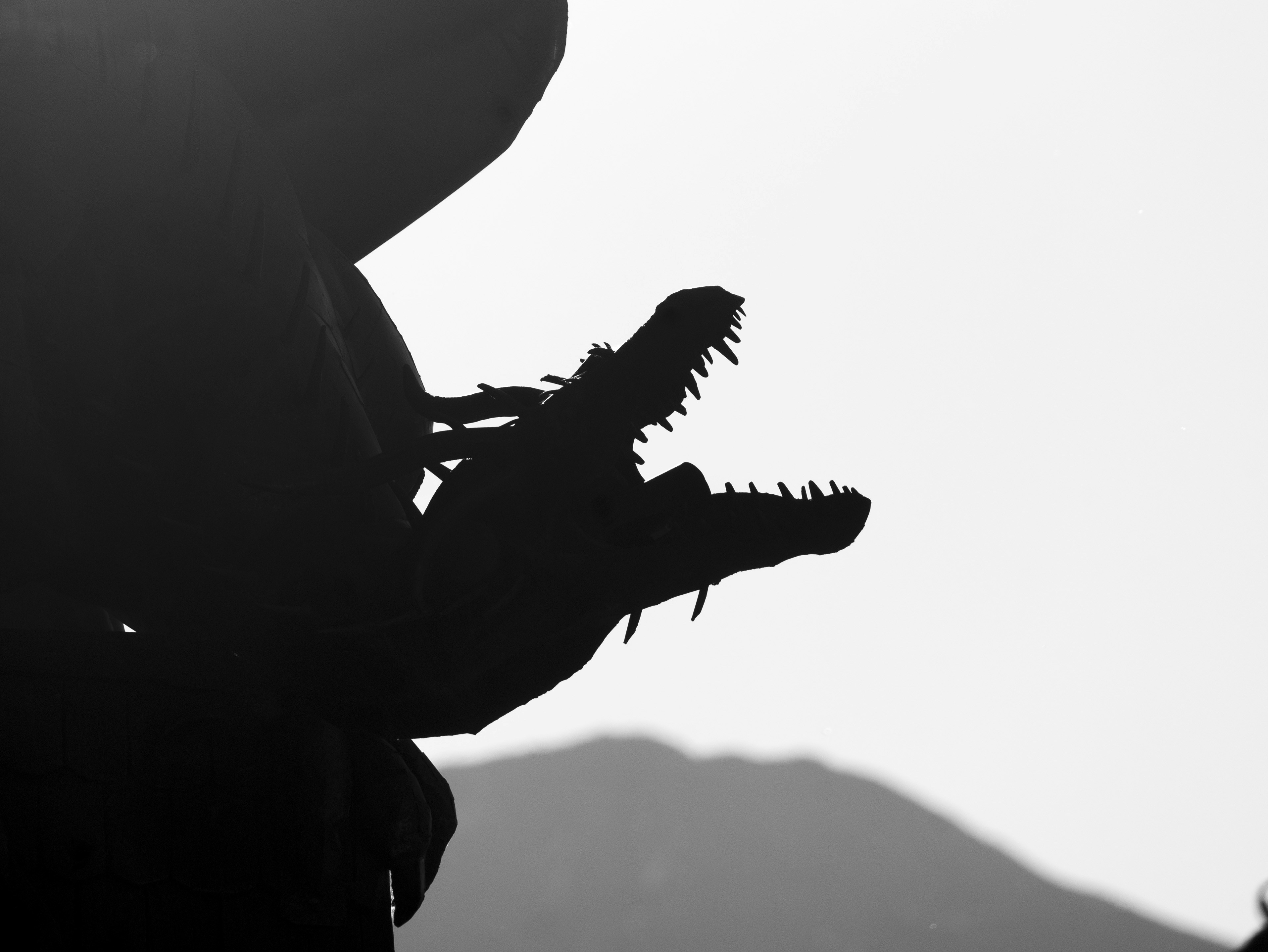 Silhouette of a Clawing Creature: Shadowed Details Against a Pale Horizon