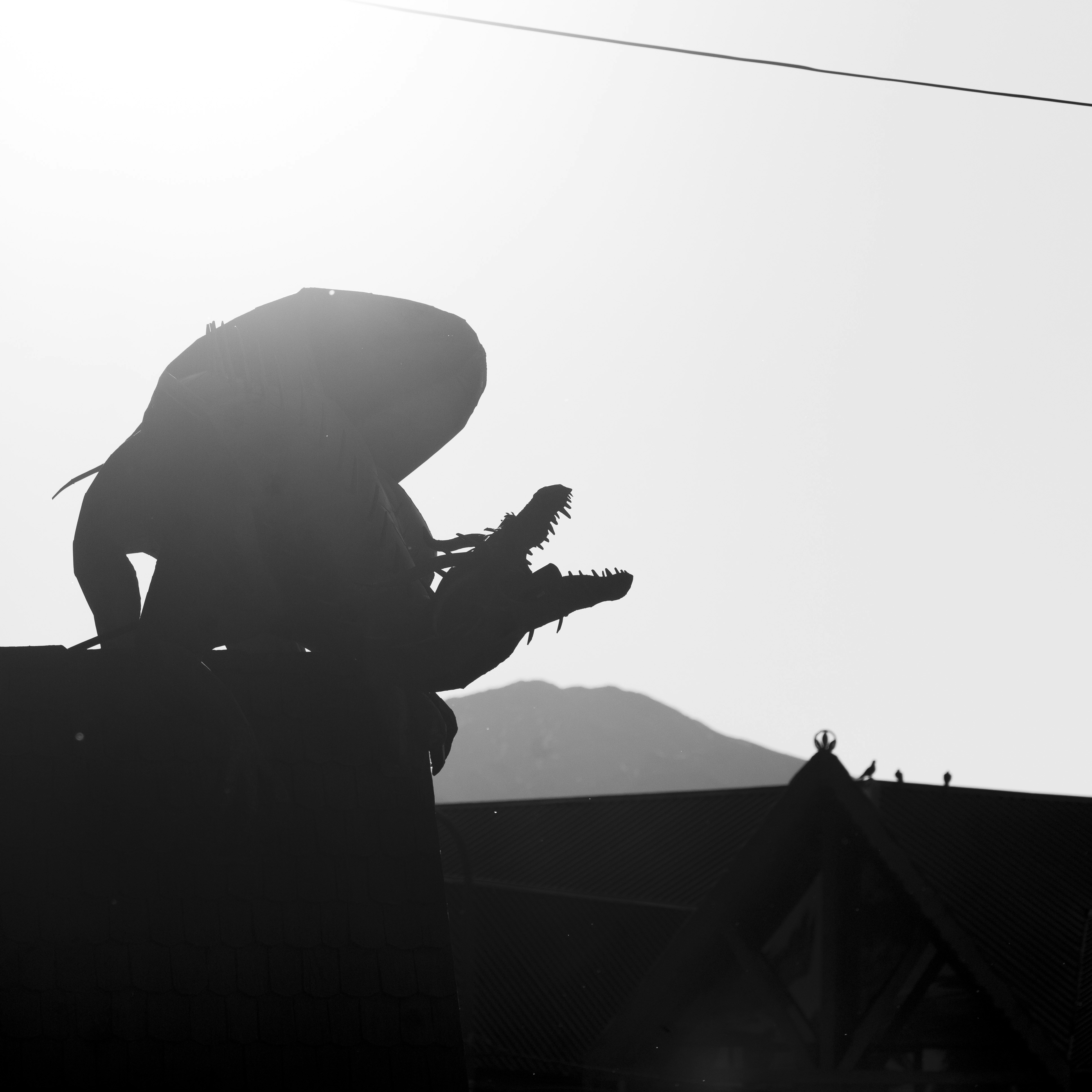 Giant Silhouette of a Dragon Headed Figure Against a Bright Sky