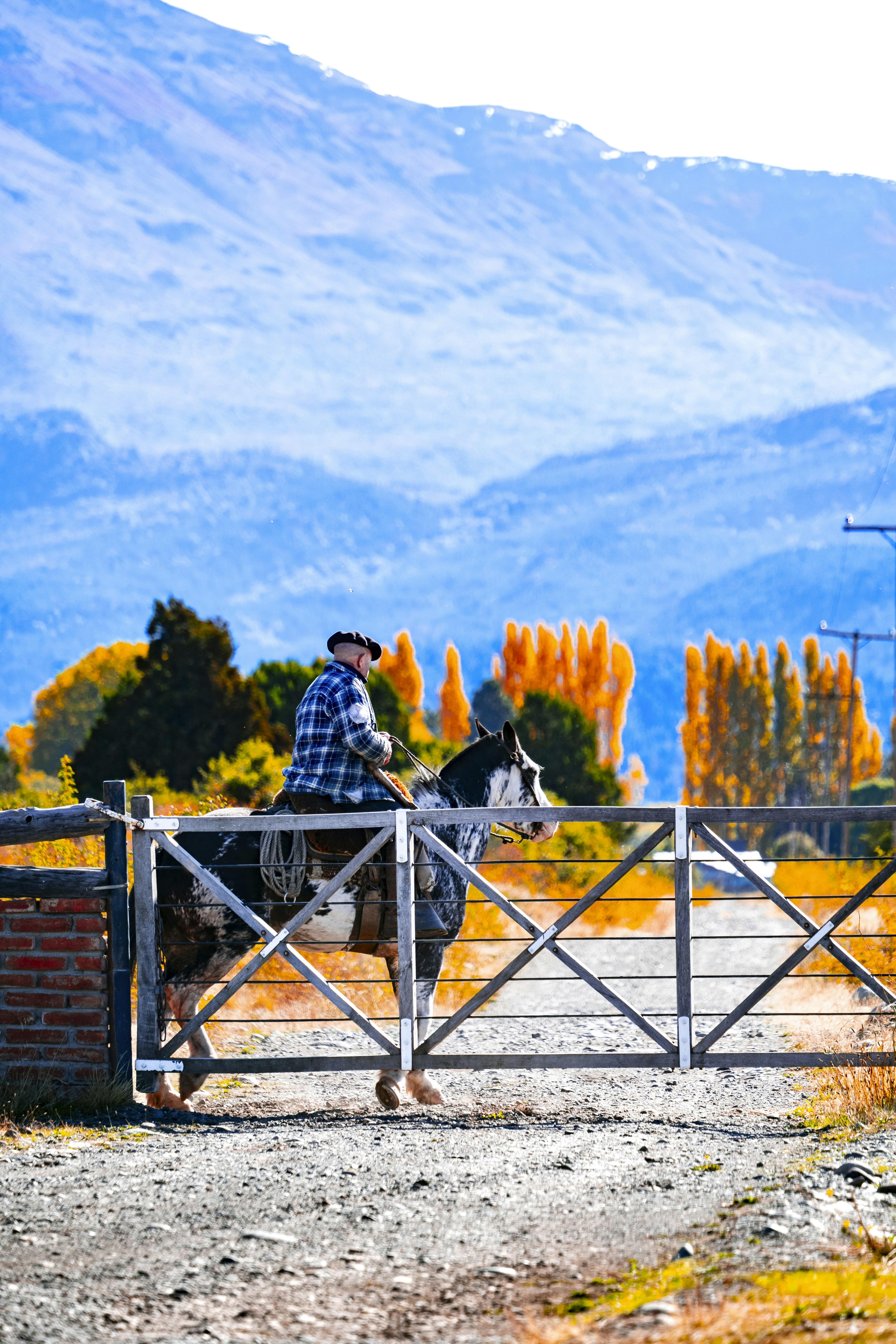 Rider and Horse at the Gate: A Quiet Moment in Autumn Pastures