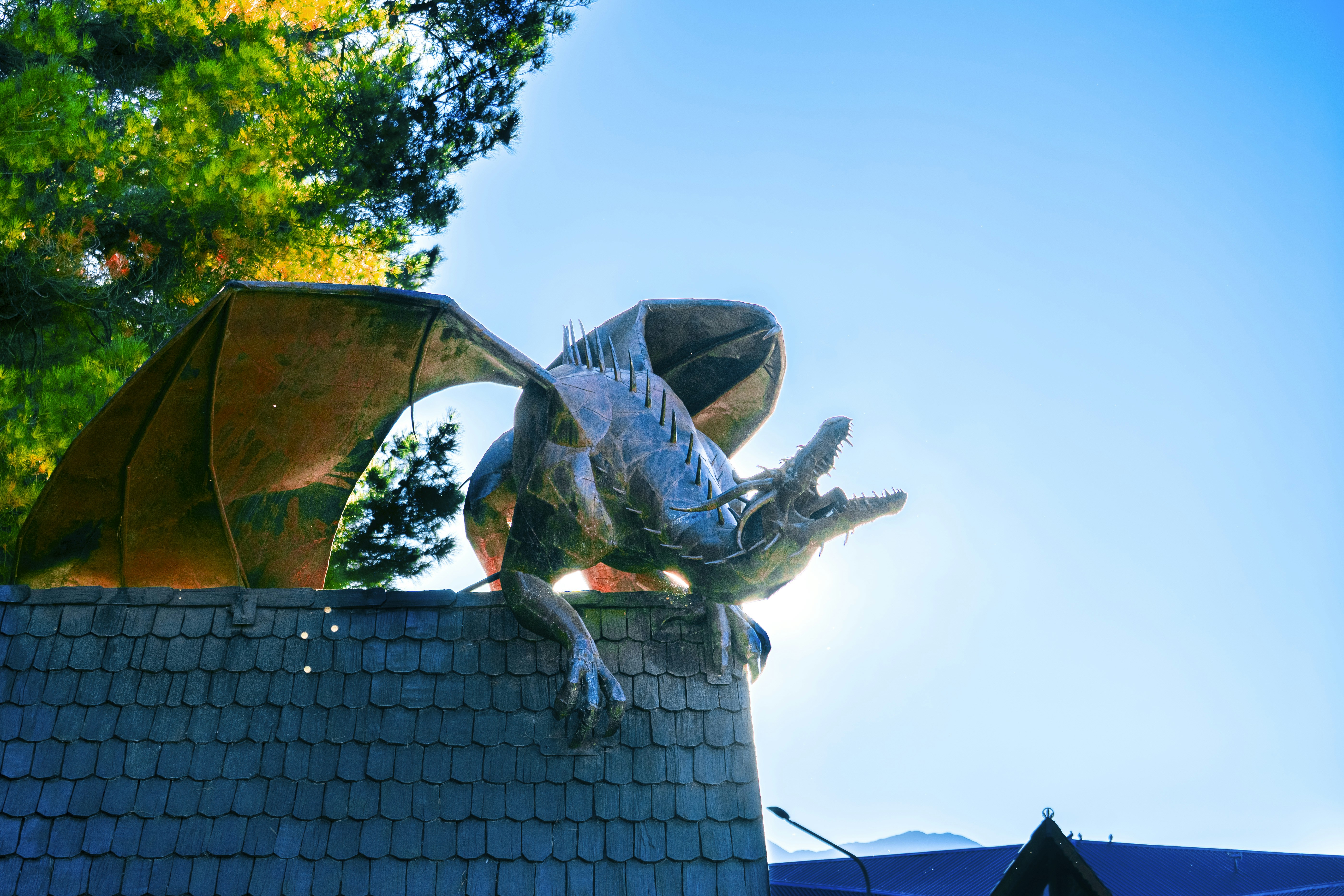 Dragon Overlook: A Stone Guardian Pleads with the Sun