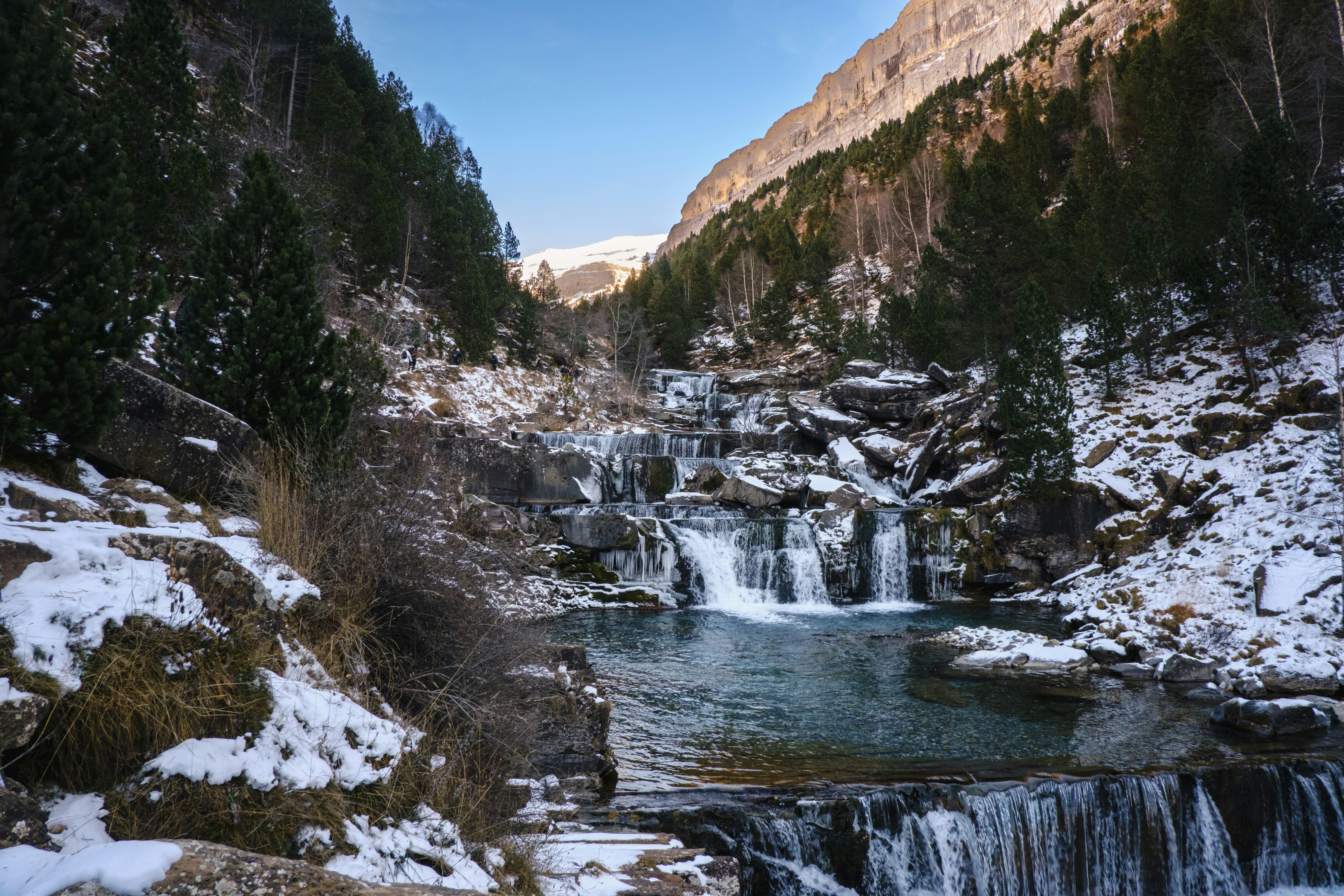 Winter Cascade Amid Forest Shadows