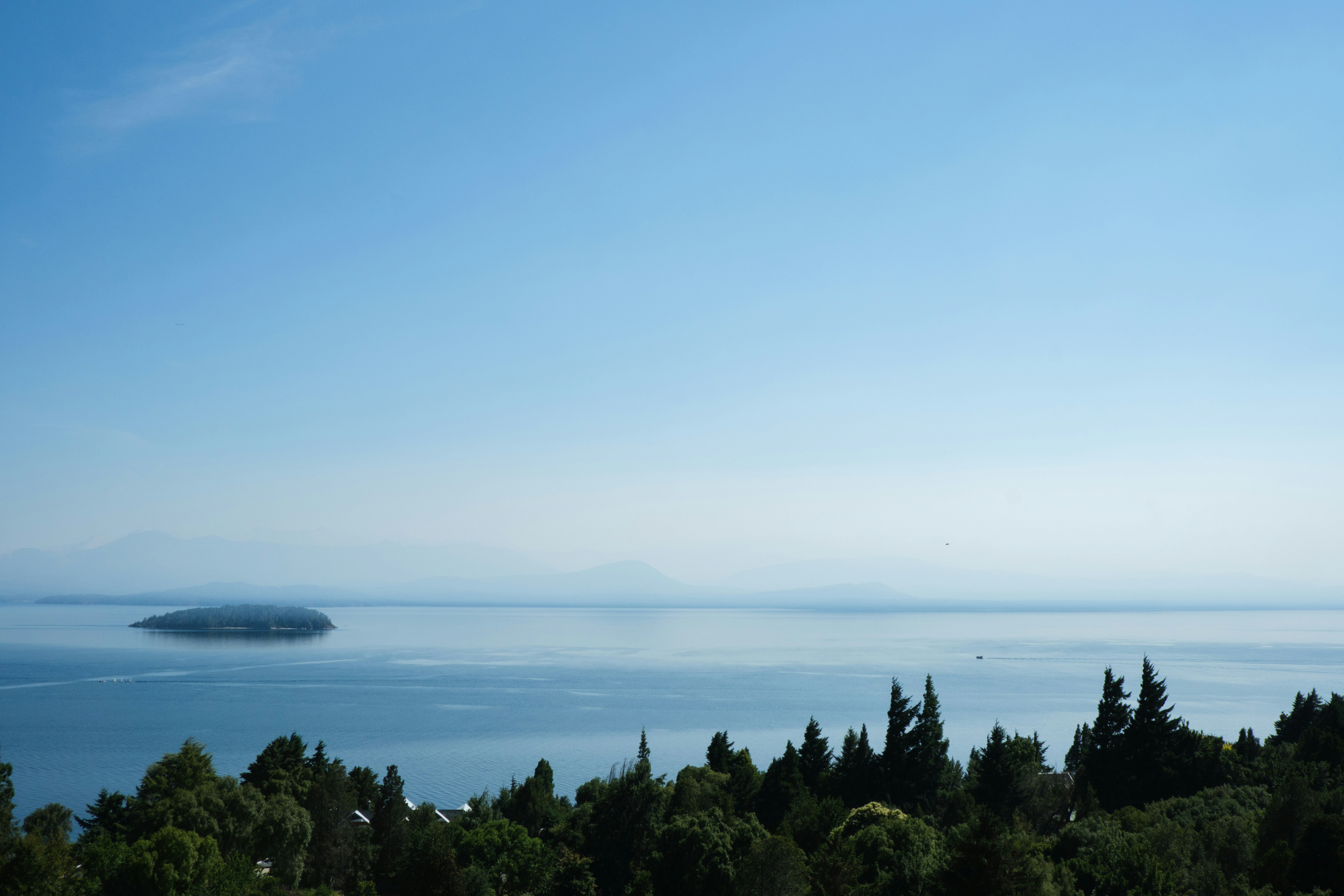 Coastline with a tranquil sea and a distant island, framed by dark treetops along the foreground; the image emphasizes serenity and expansive horizon.