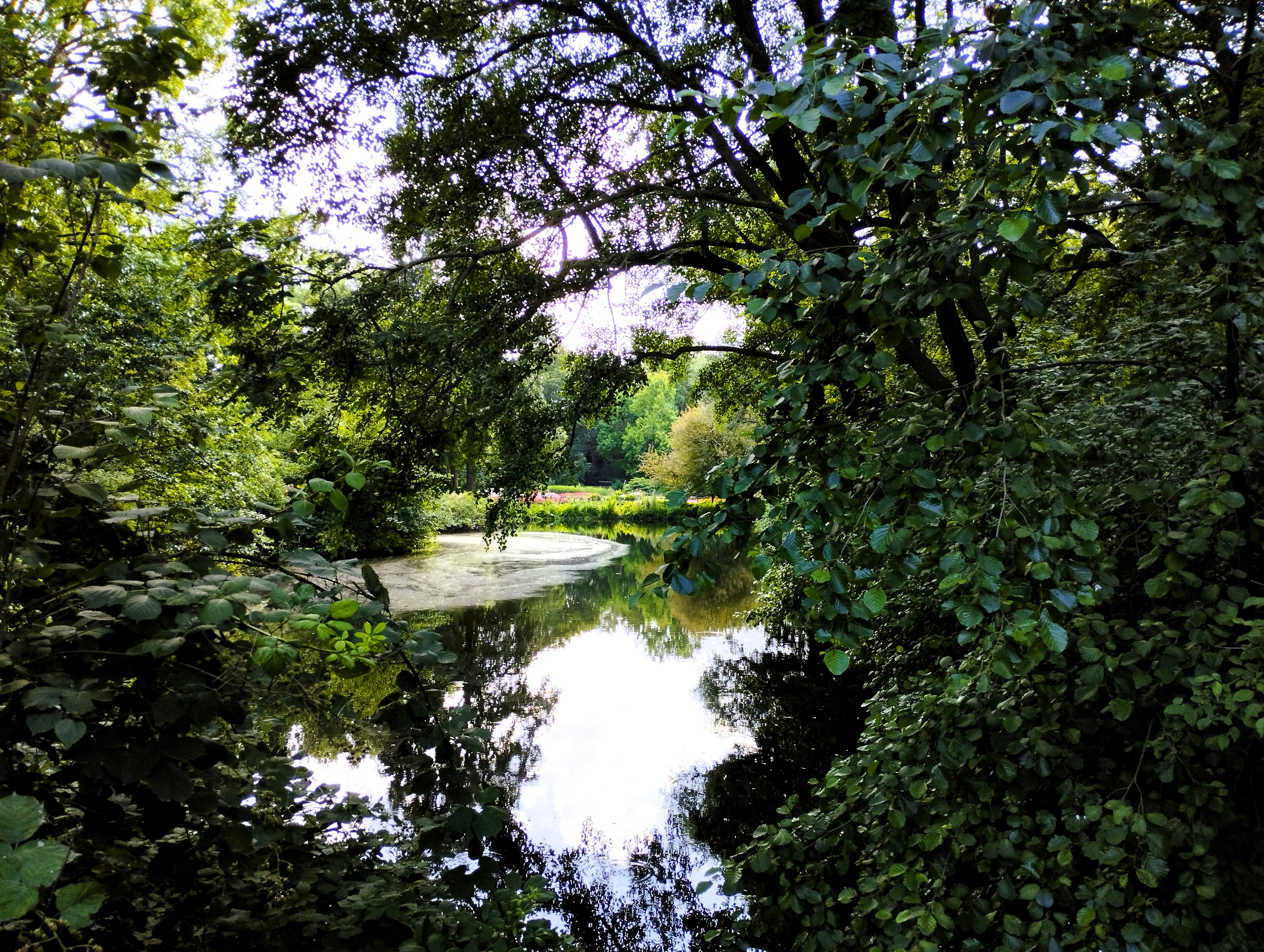 Sunlit river bends through dense green banks and overhanging branches, creating a tranquil, mirrored scene. A natural landscape emphasizing depth and foliage textures.