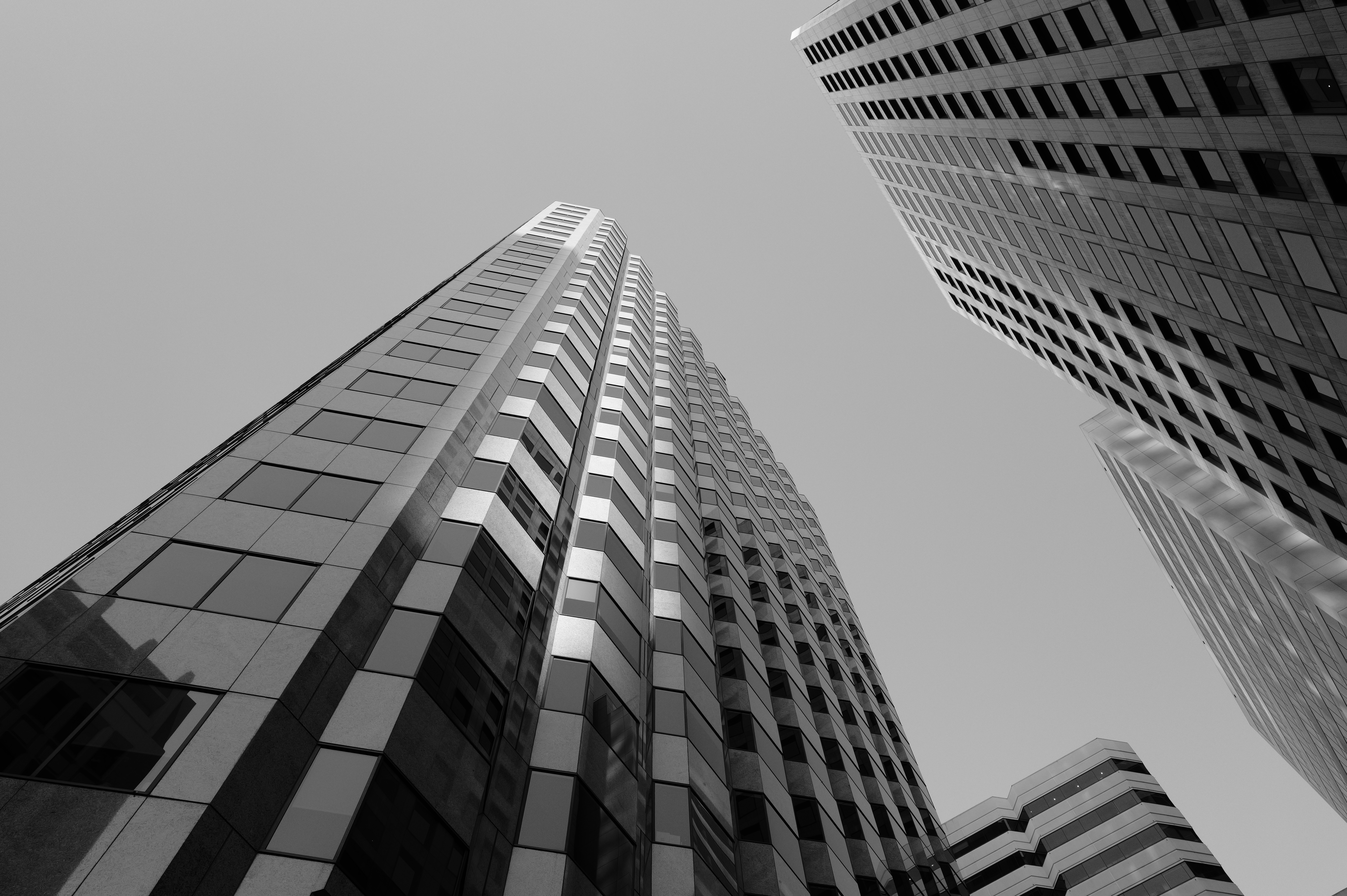 Urban Skyward: Twin Towers Reaching into a Monochrome Void