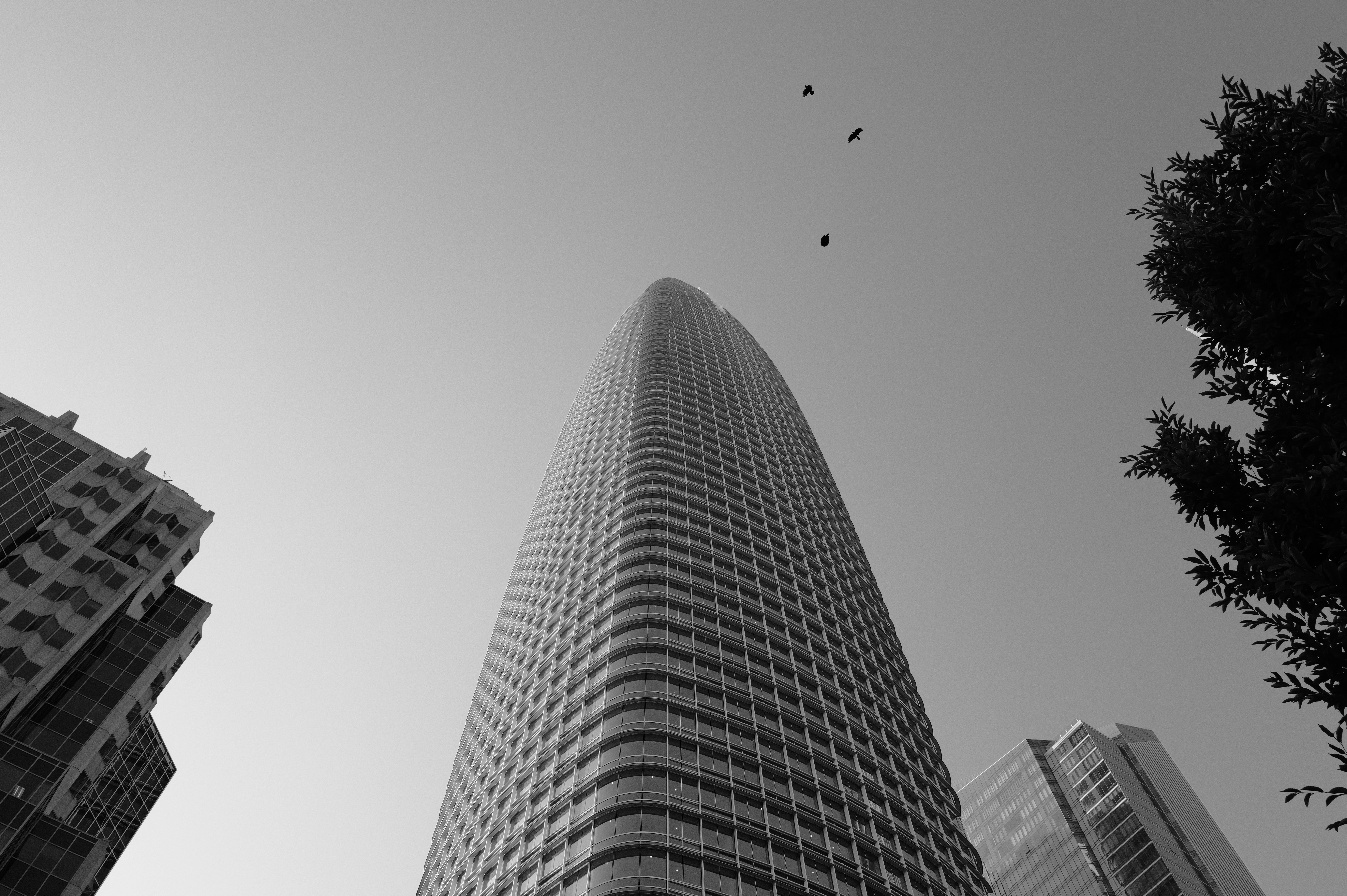 Peak Tower in a Narrow Sky: A Tilt-Down Look at Urban Monoliths