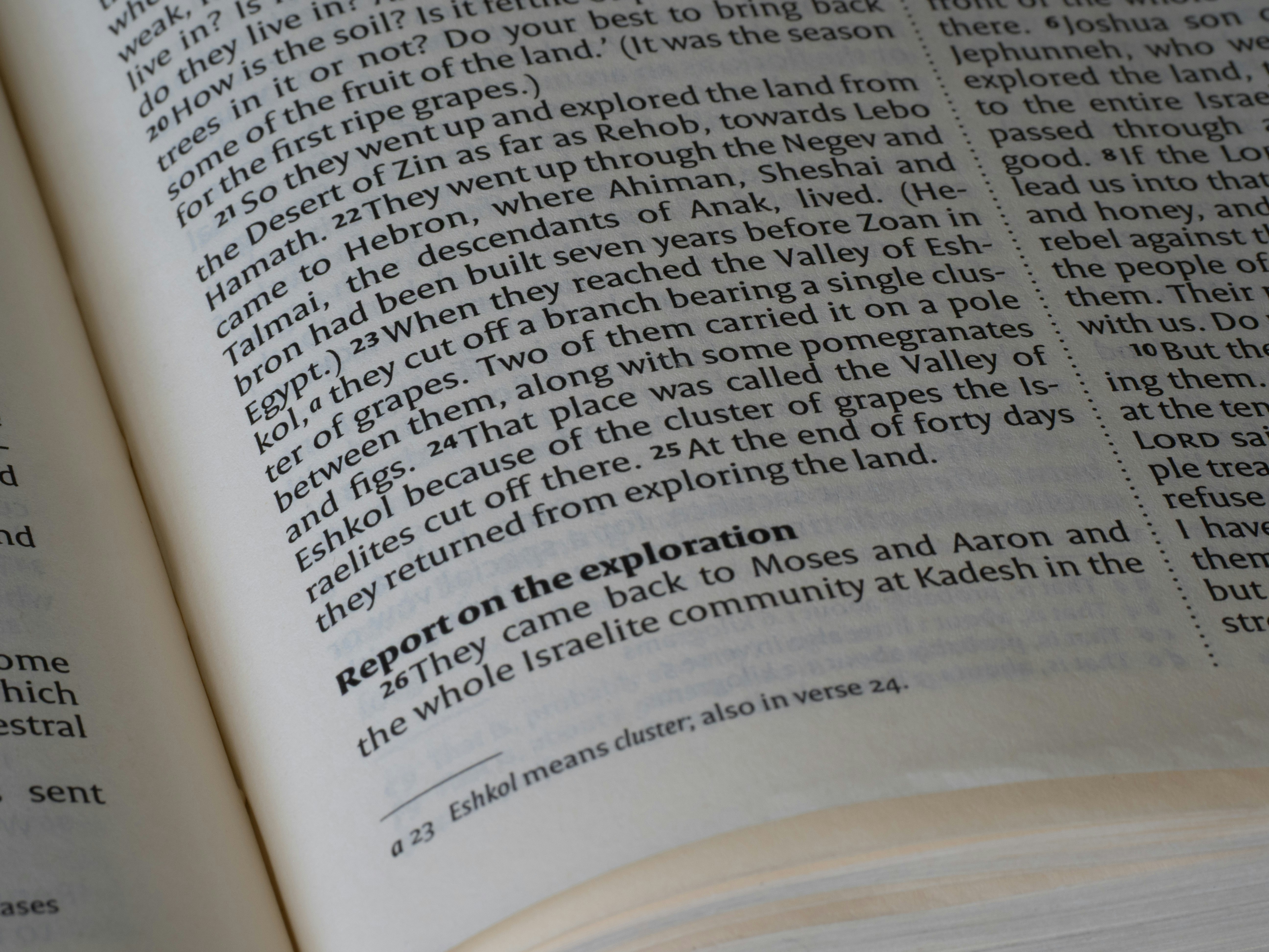 Close-up of an open book where a paragraph about exploration is visible along the left page with muted typography and a soft focus edge. A subtle, printed page texture anchors the scene; the composition emphasizes the act of reading.