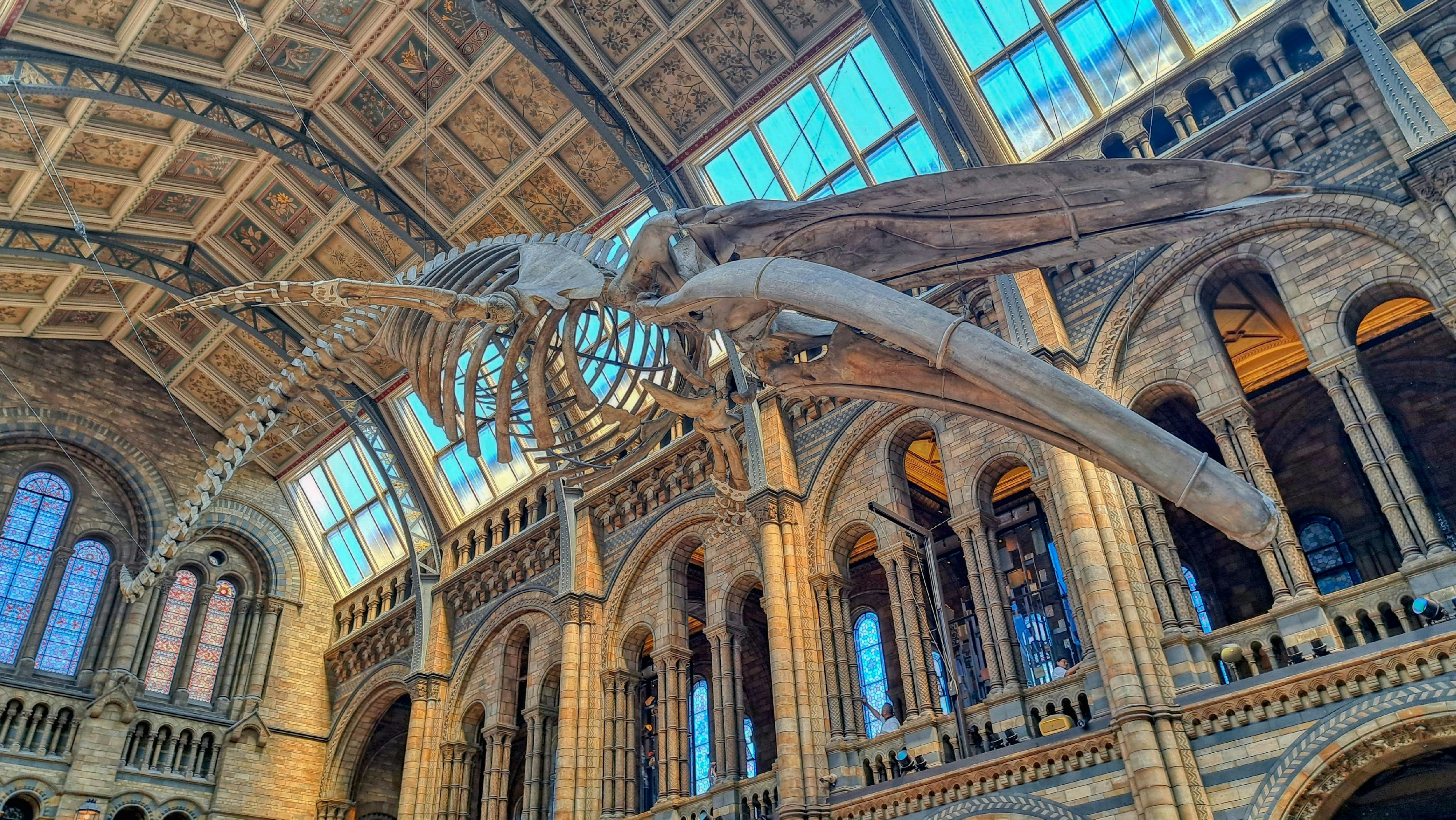 Grand museum hall with an enormous fossil skeleton suspended above an ornate brick-and-stone interior.