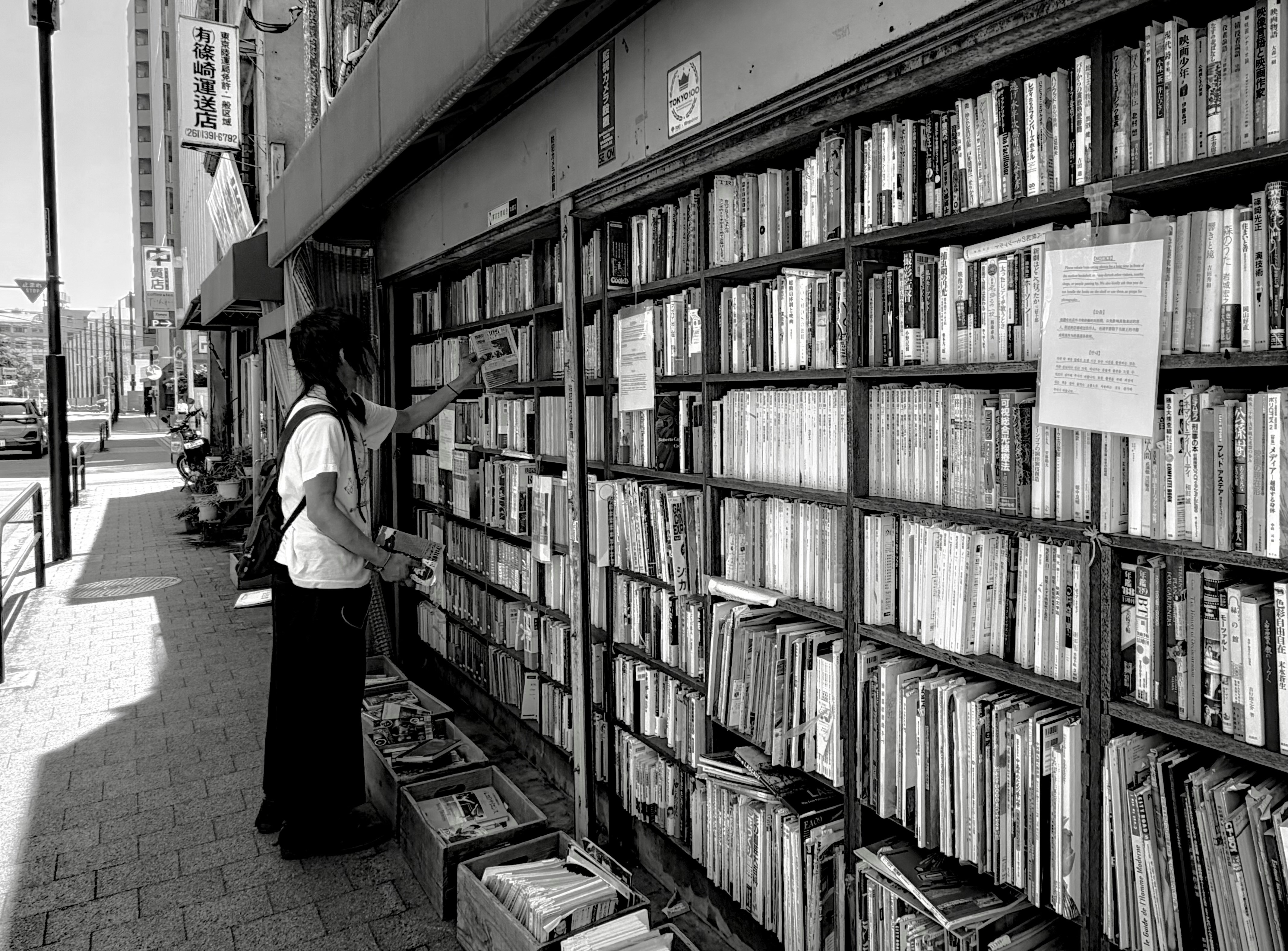 Street Librarian: Browsing Through a Wall of Books