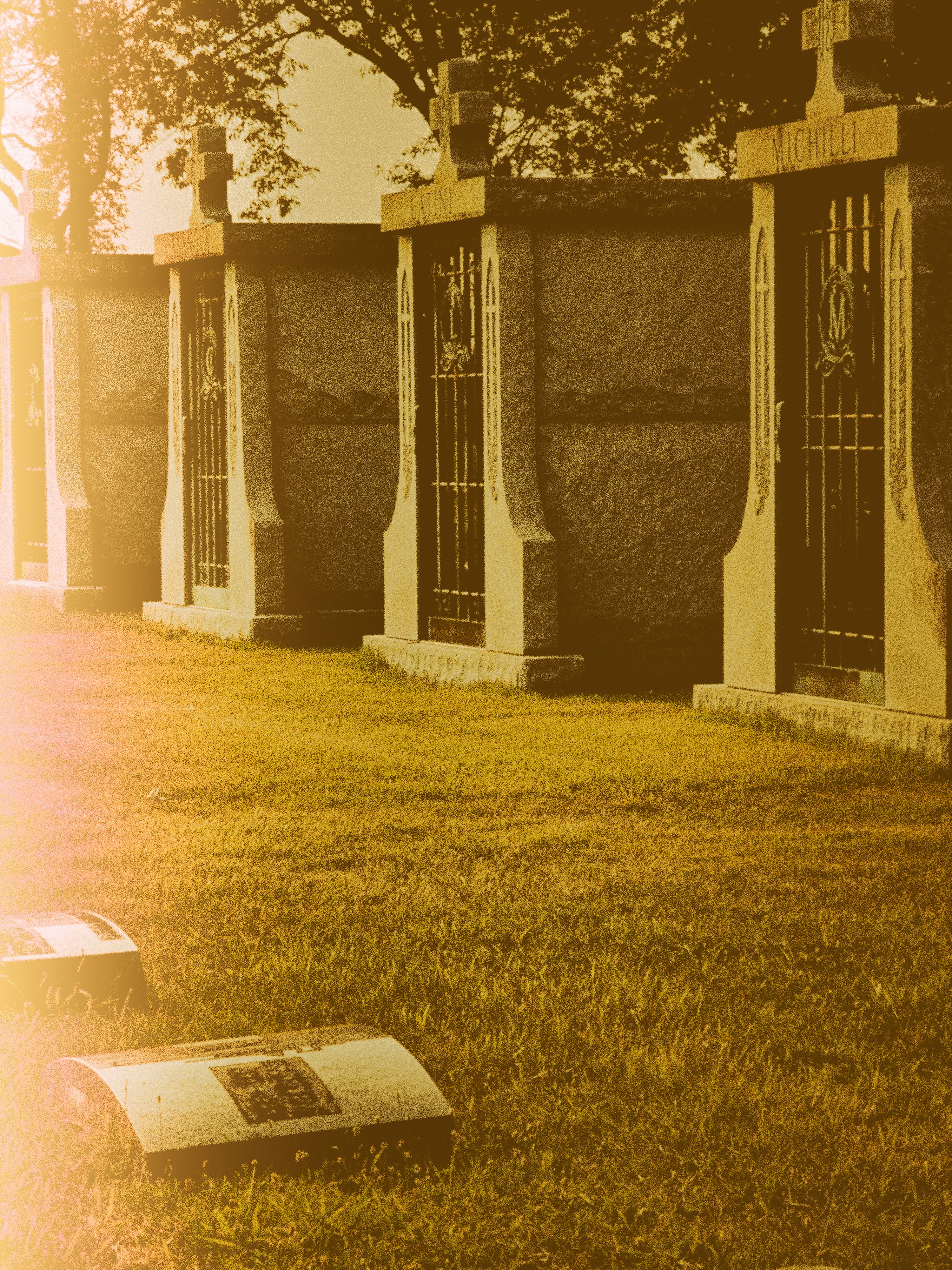 Golden Hour Gates: A Cemetery Row Bathed in Soft Filtered Light