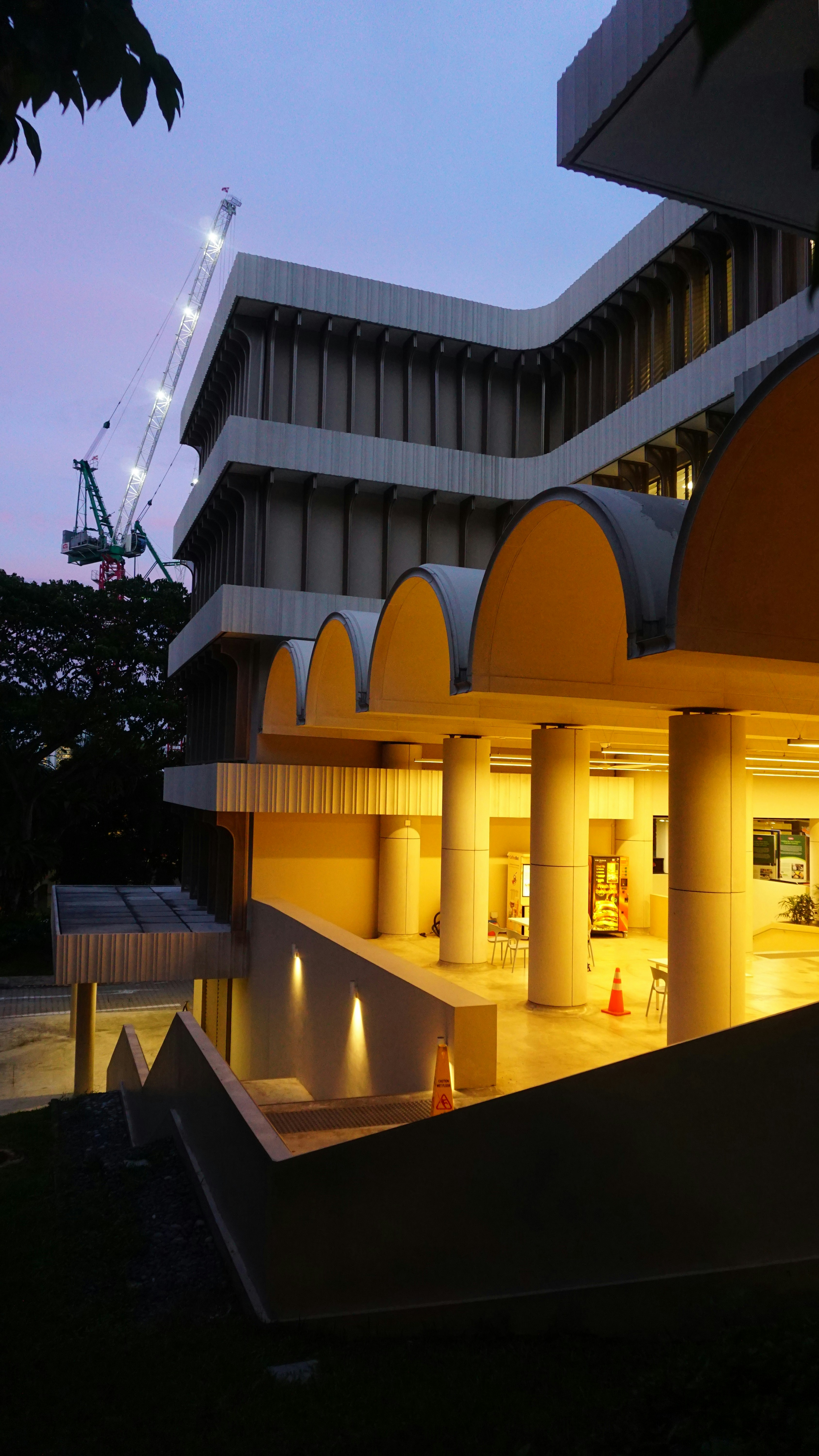 Urban Canopy: Concrete Curves and Warm Glow