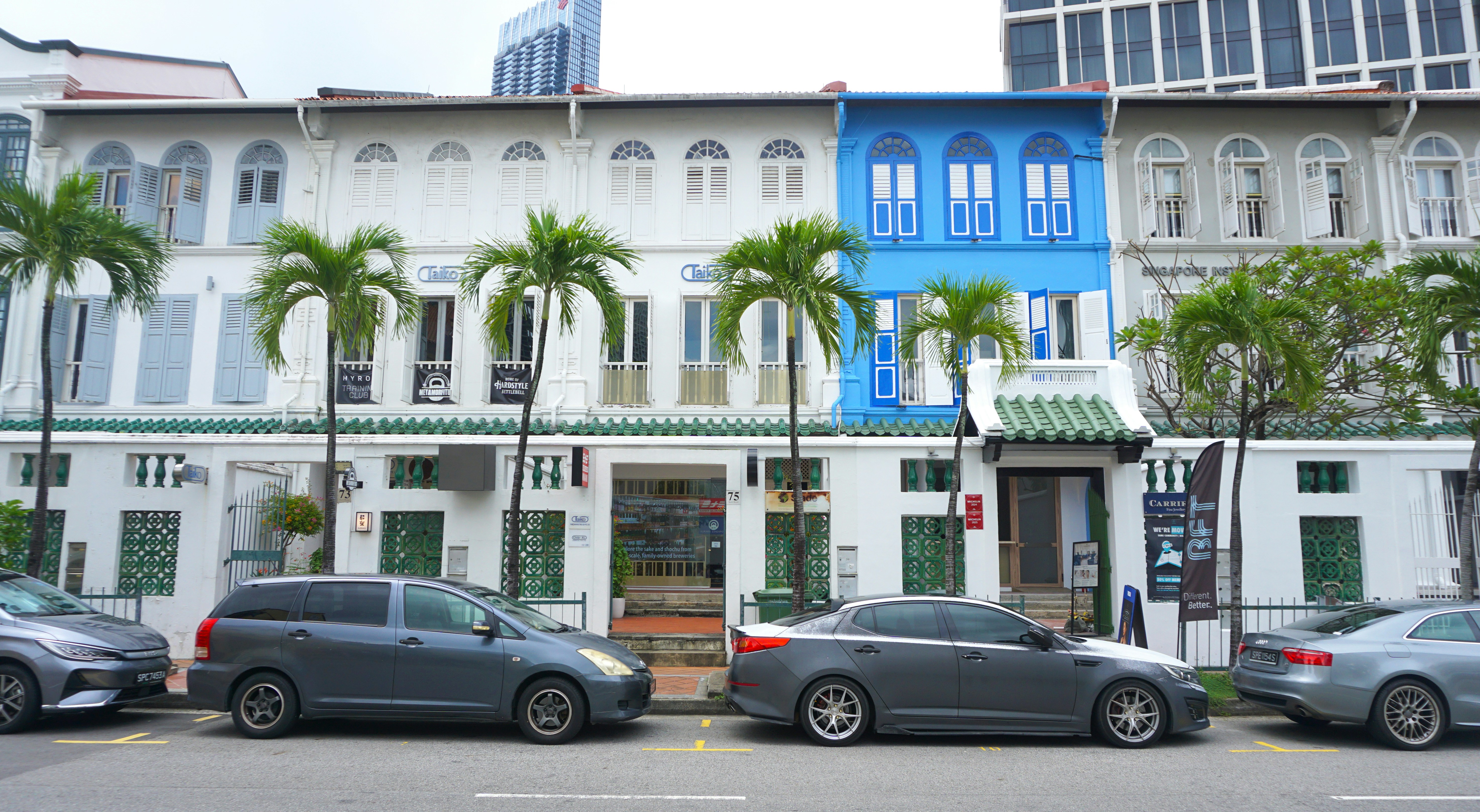Row of Colorful Shophouses Framed by Palm Lined Street