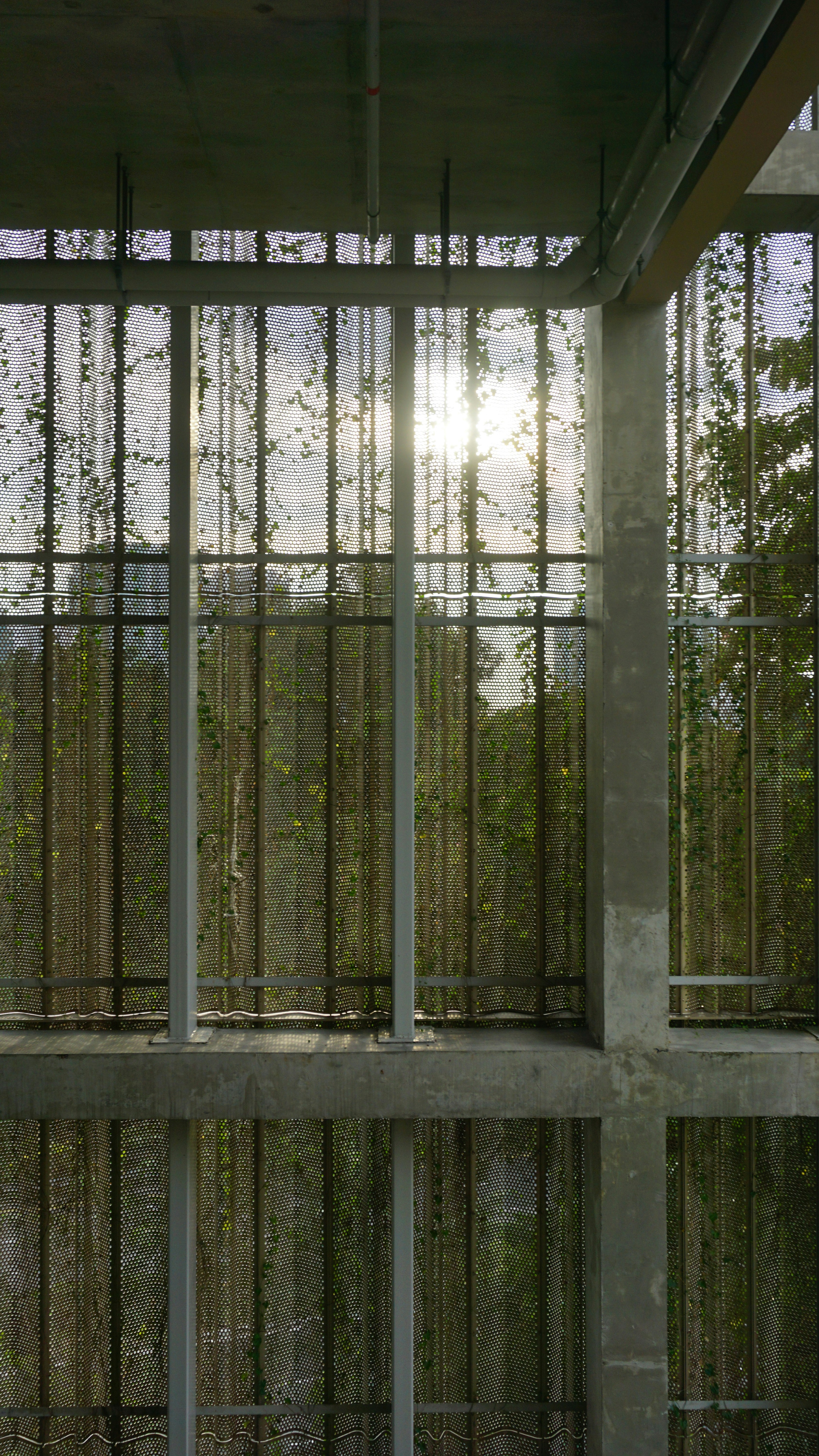 Sunlit Grille: Backlit Structure Through Perforated Panels