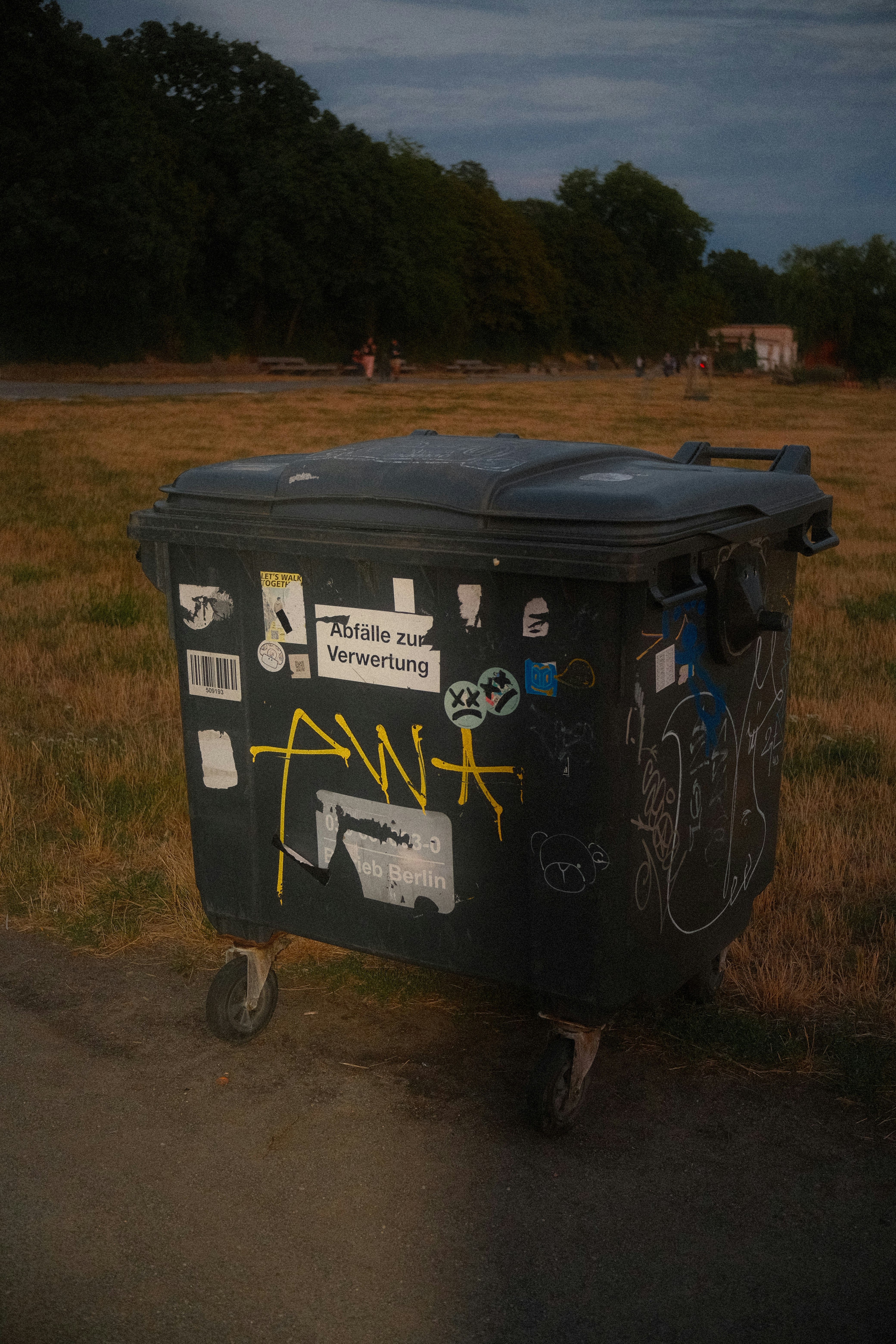 Graffiti and Grime: A Dusk-Guarded Dump