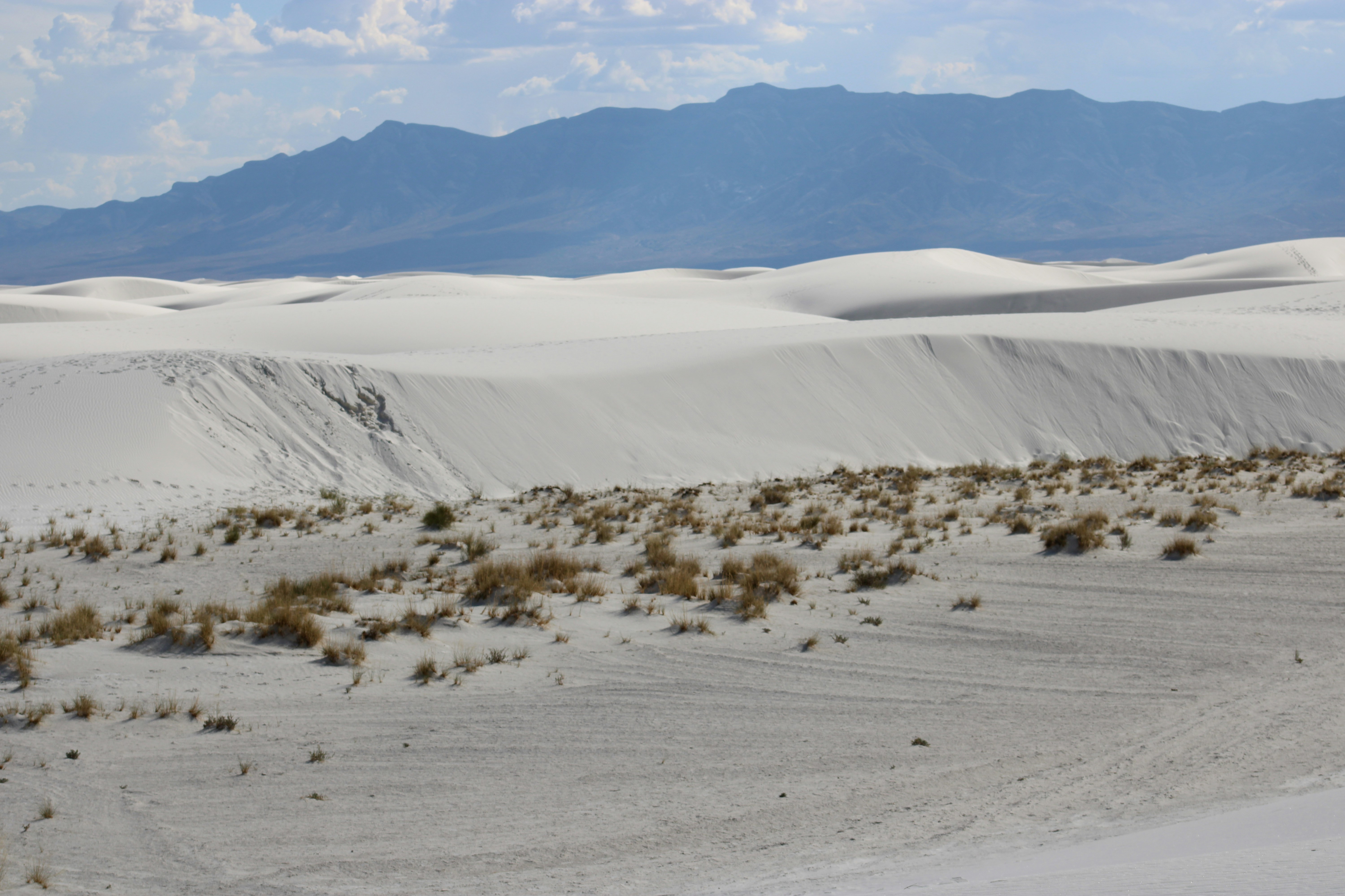 Dune Crest Under Clear Sky: Quiet Grandeur at Distant Range
