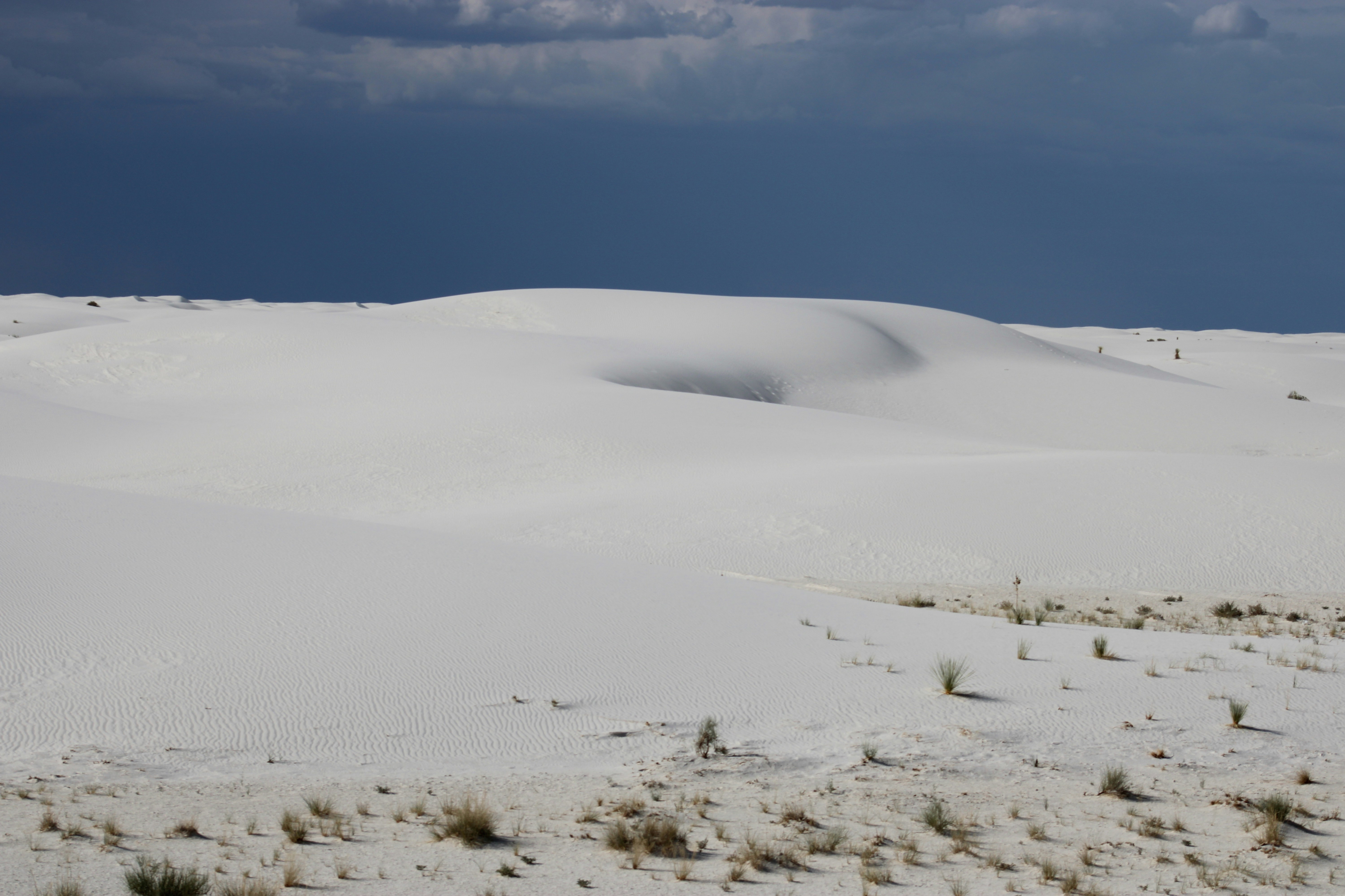 Whispering Dunes Under a Midnight Sky