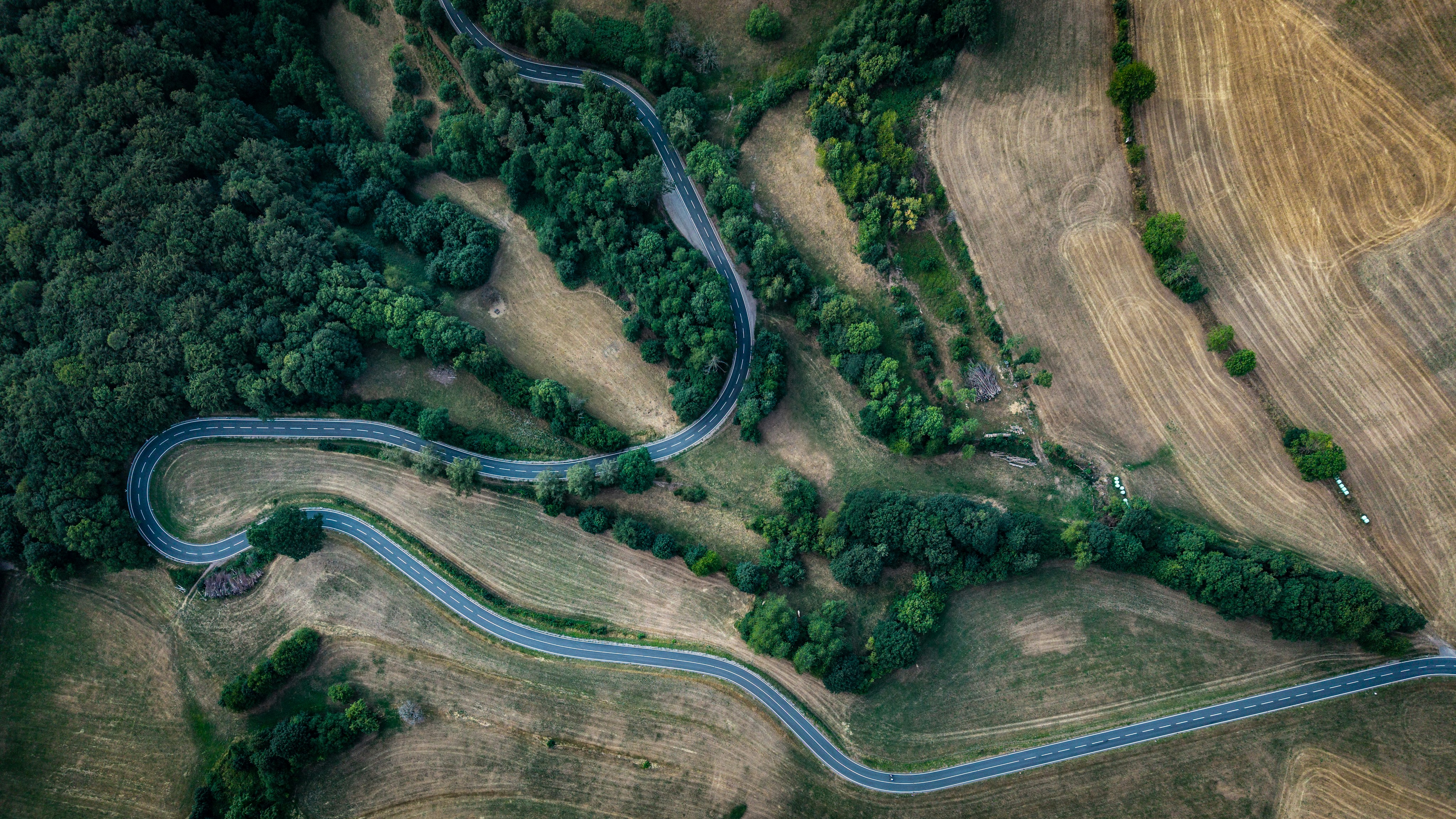 Winding Ribbon: Aerial View Through Orchard and Field Corridors