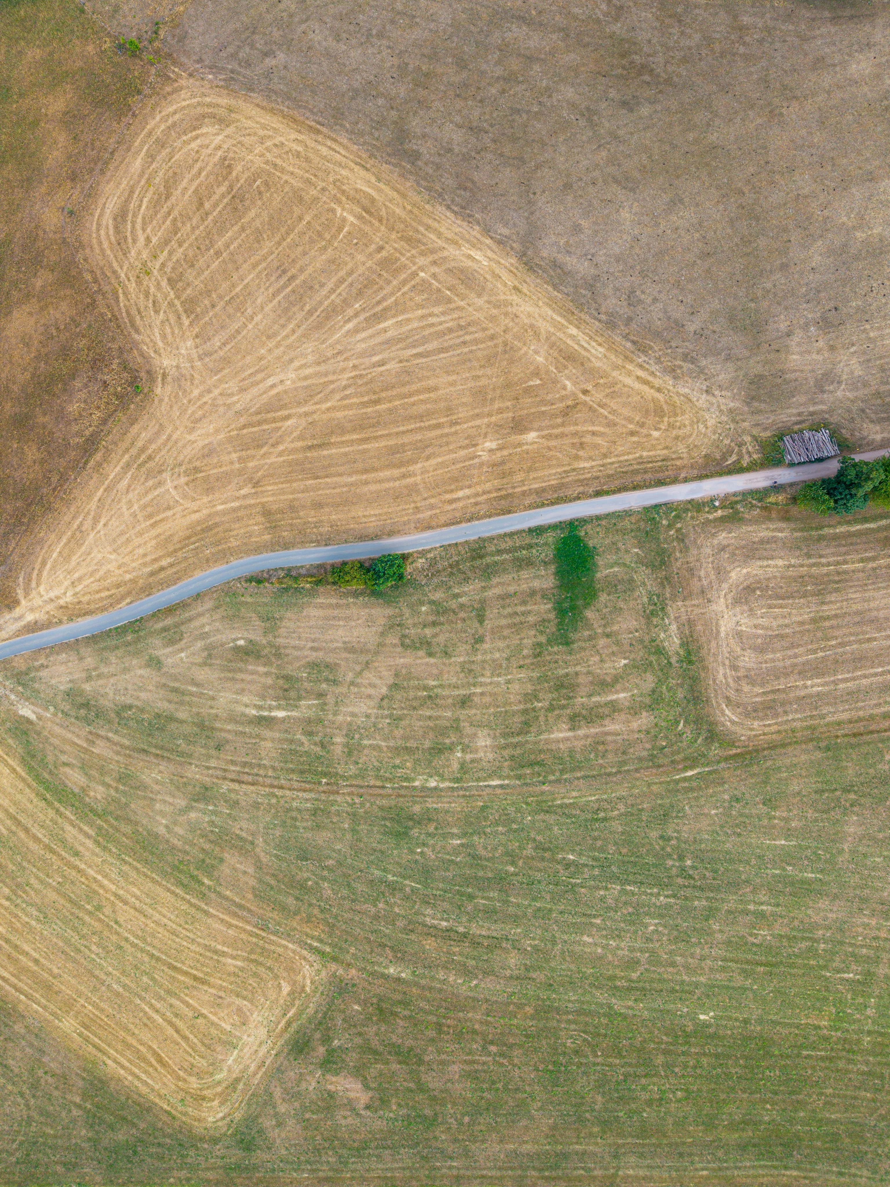 Road through Harvested Fields: Aerial Snapshot of Curved Path and Field Patterns