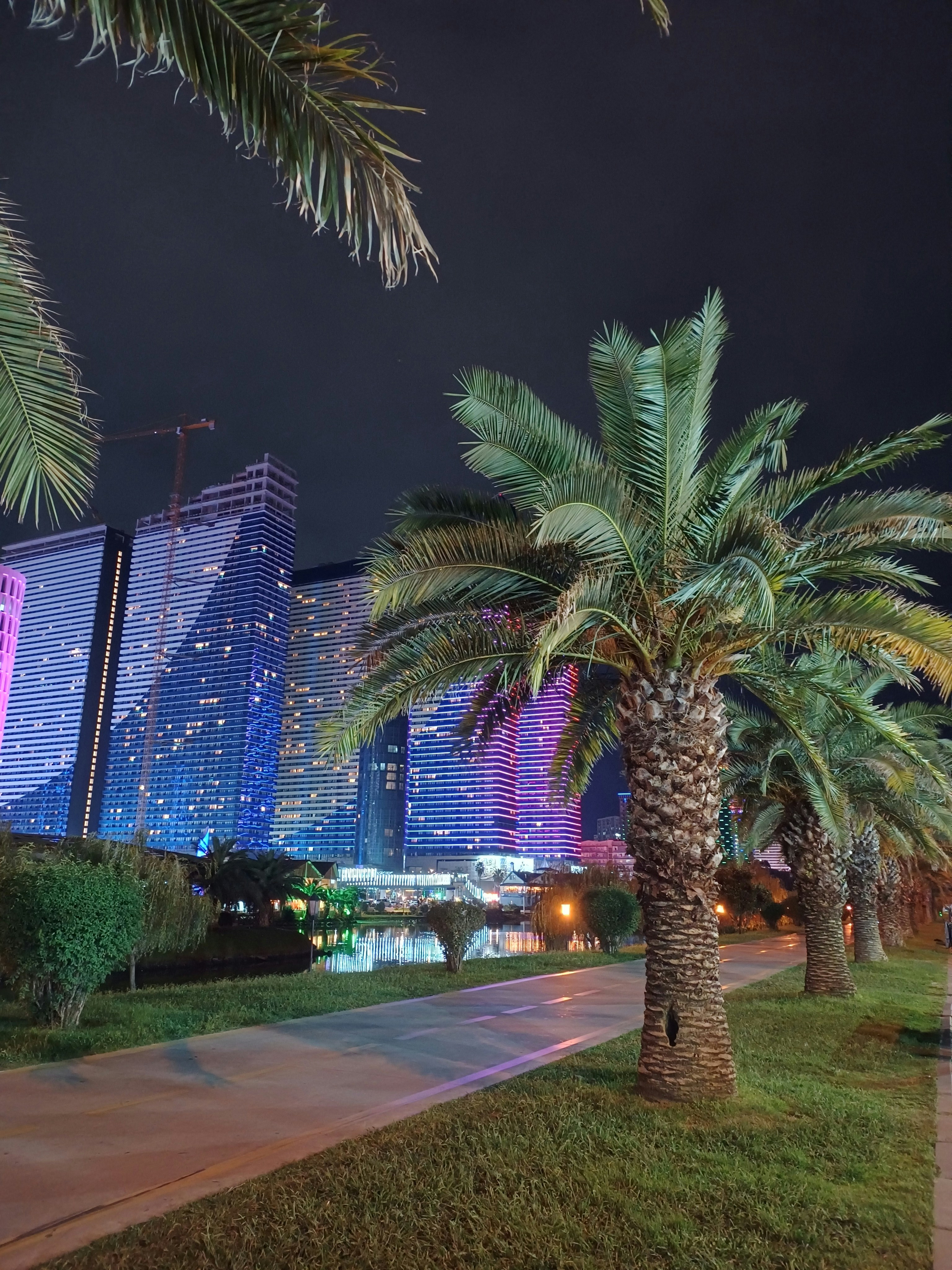 Neon Palm Promenade Along a City Nightlit Skyline