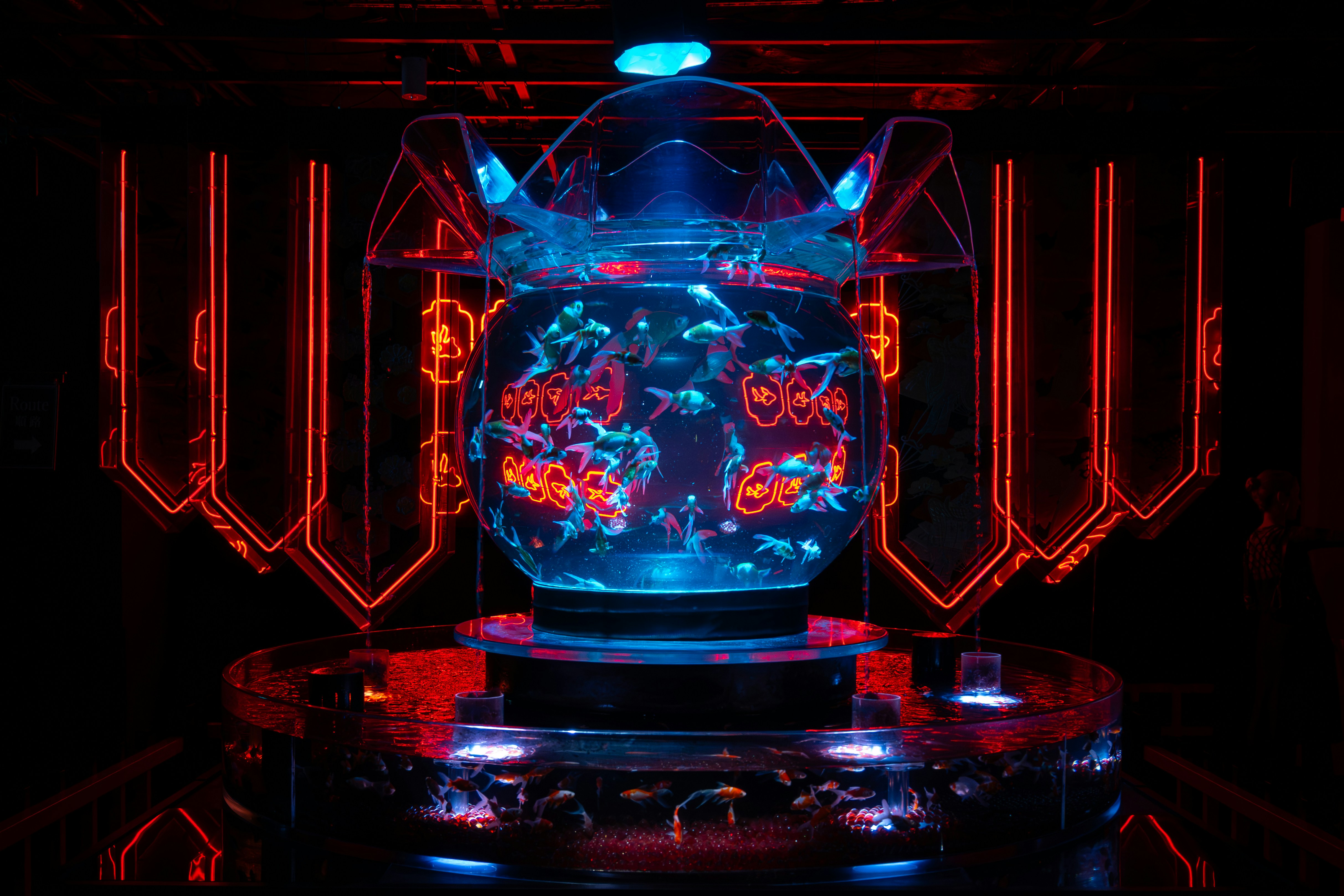 Crystal Orb in Neon Constellations