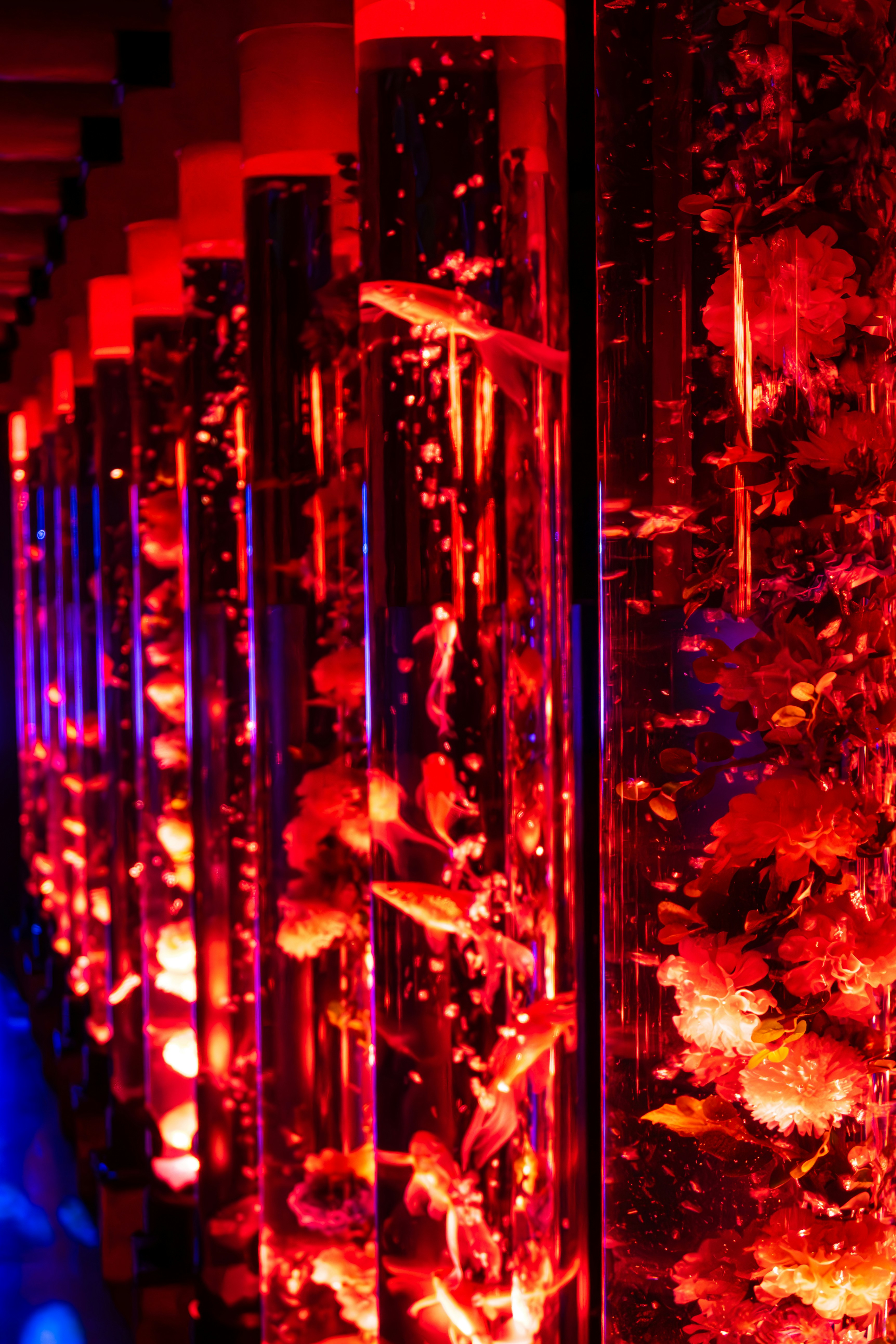 Neon-Red Coral Cylinders: A Corridor of Liquid Light