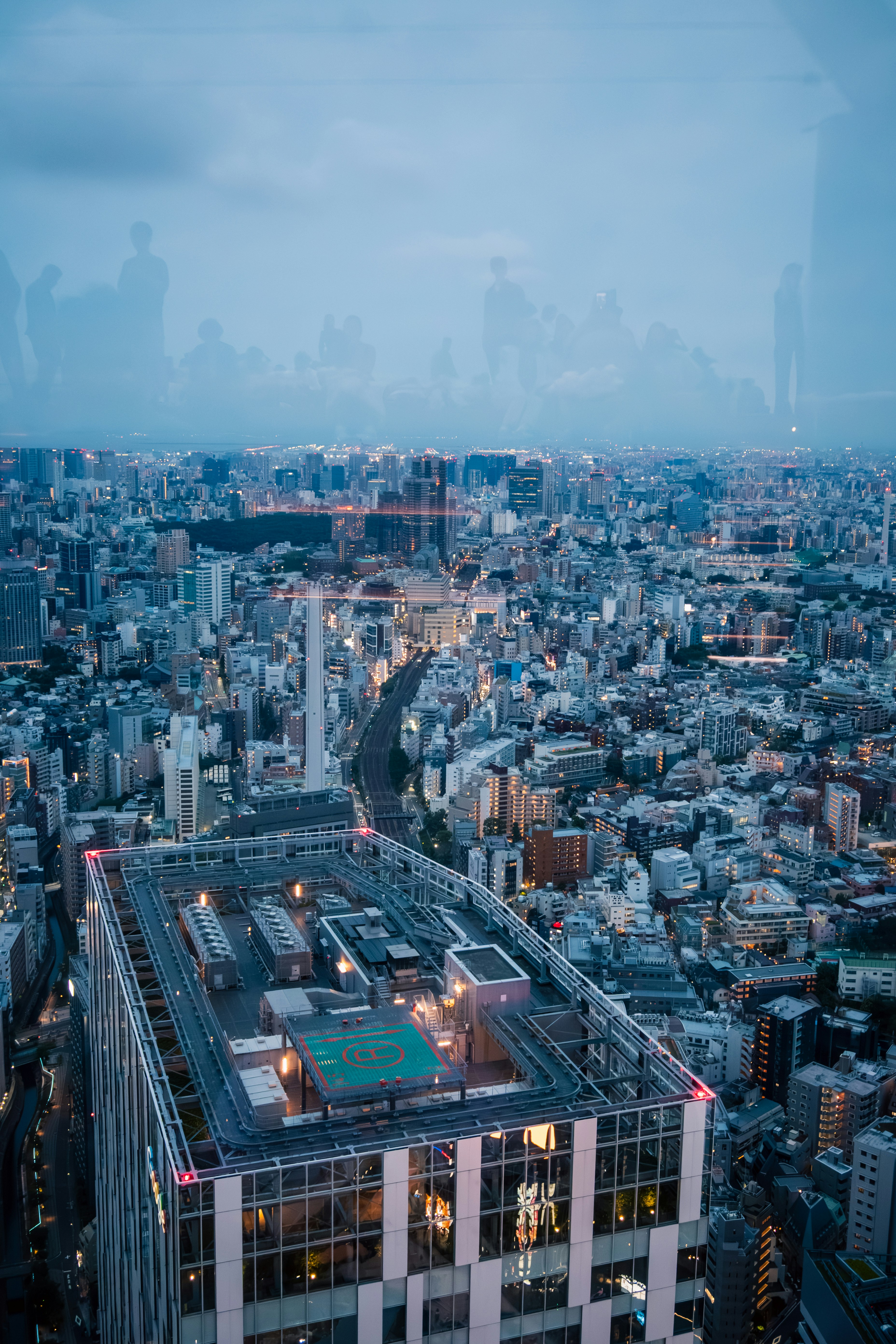 City Veil: Aerial Glass Over Tokyo-like Skyscape