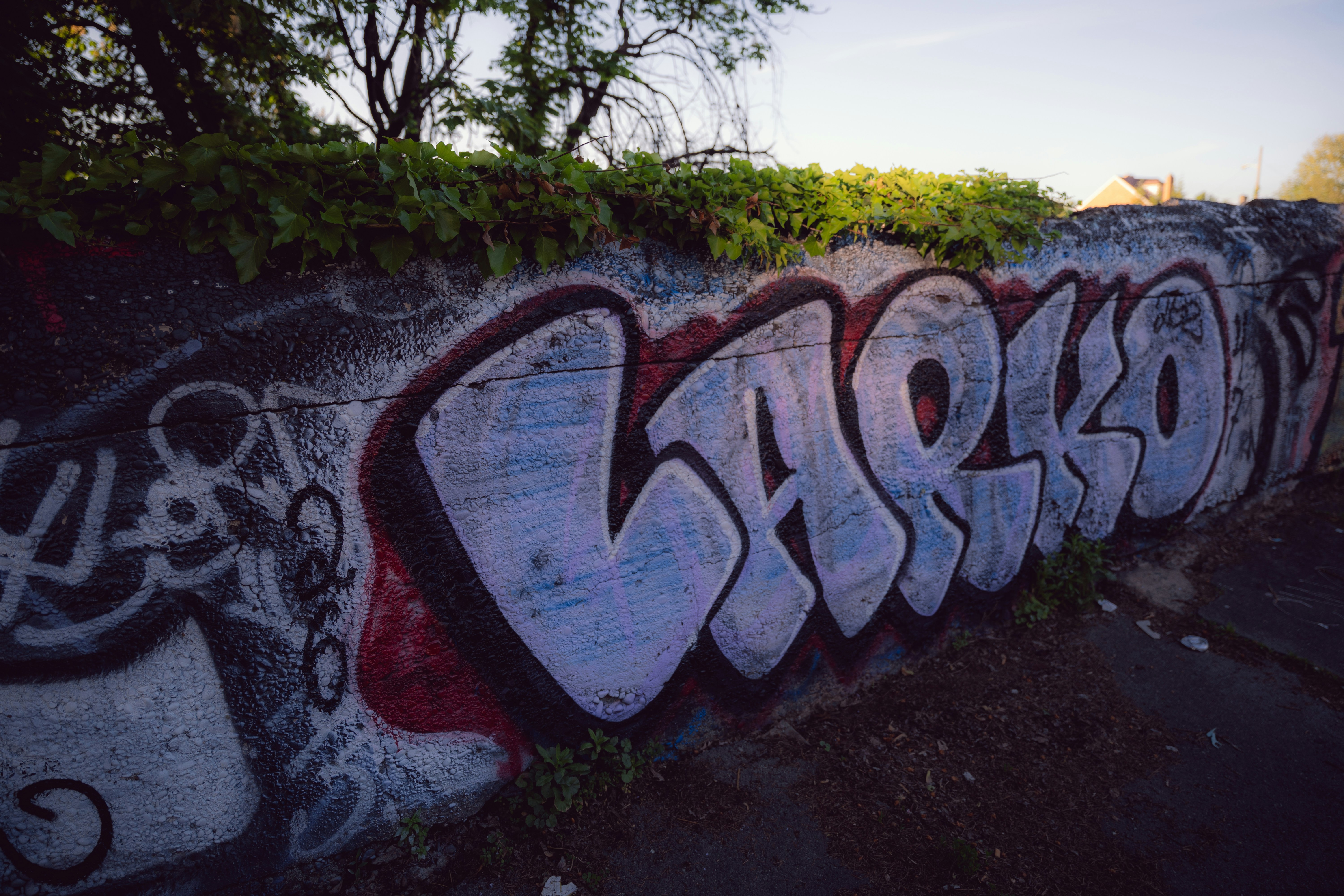 Graffiti Lettering Across a Weathered Concrete Barrier