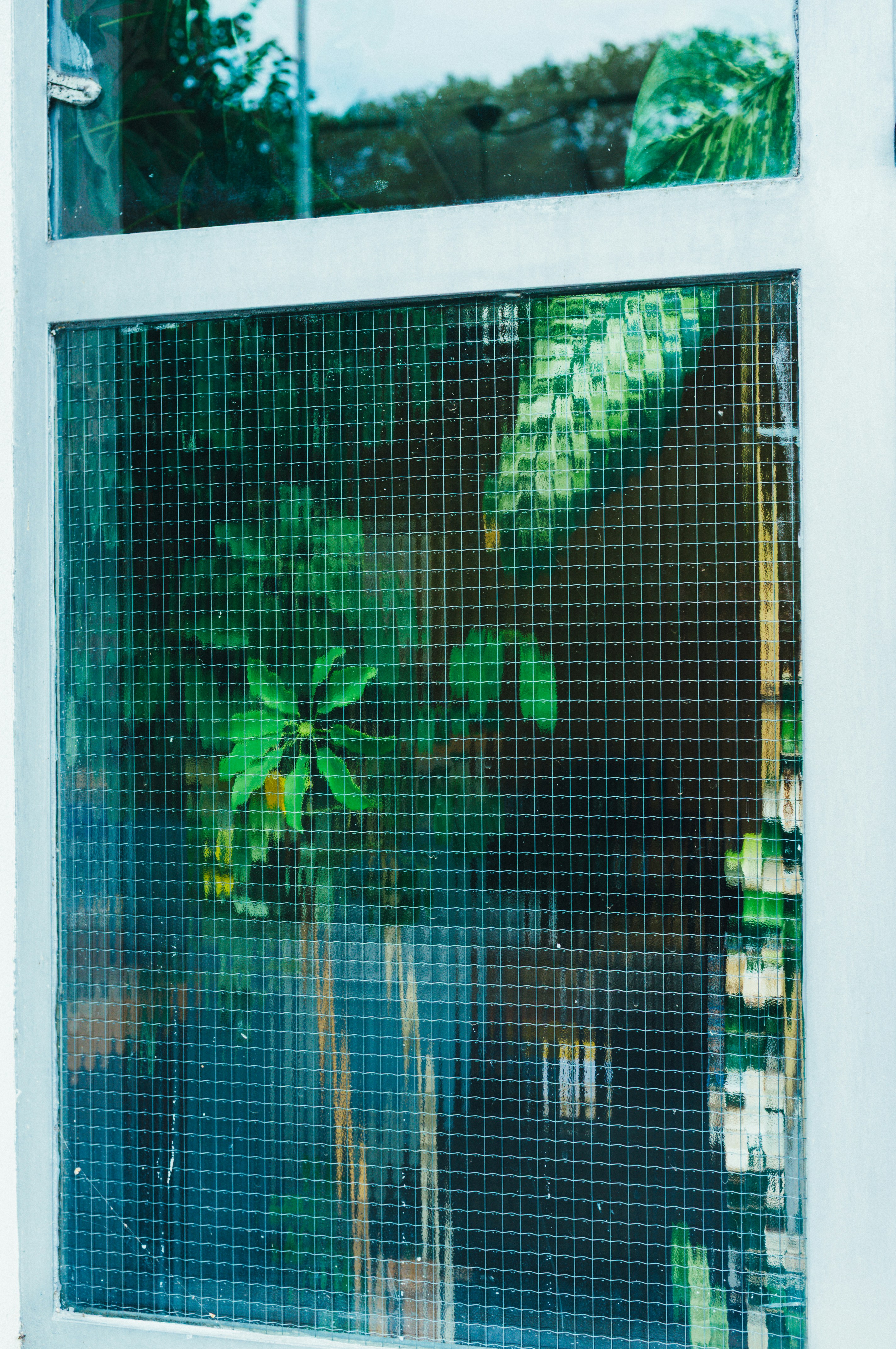 Veranda Veil: Greenery Behind a Frosted Grid Window