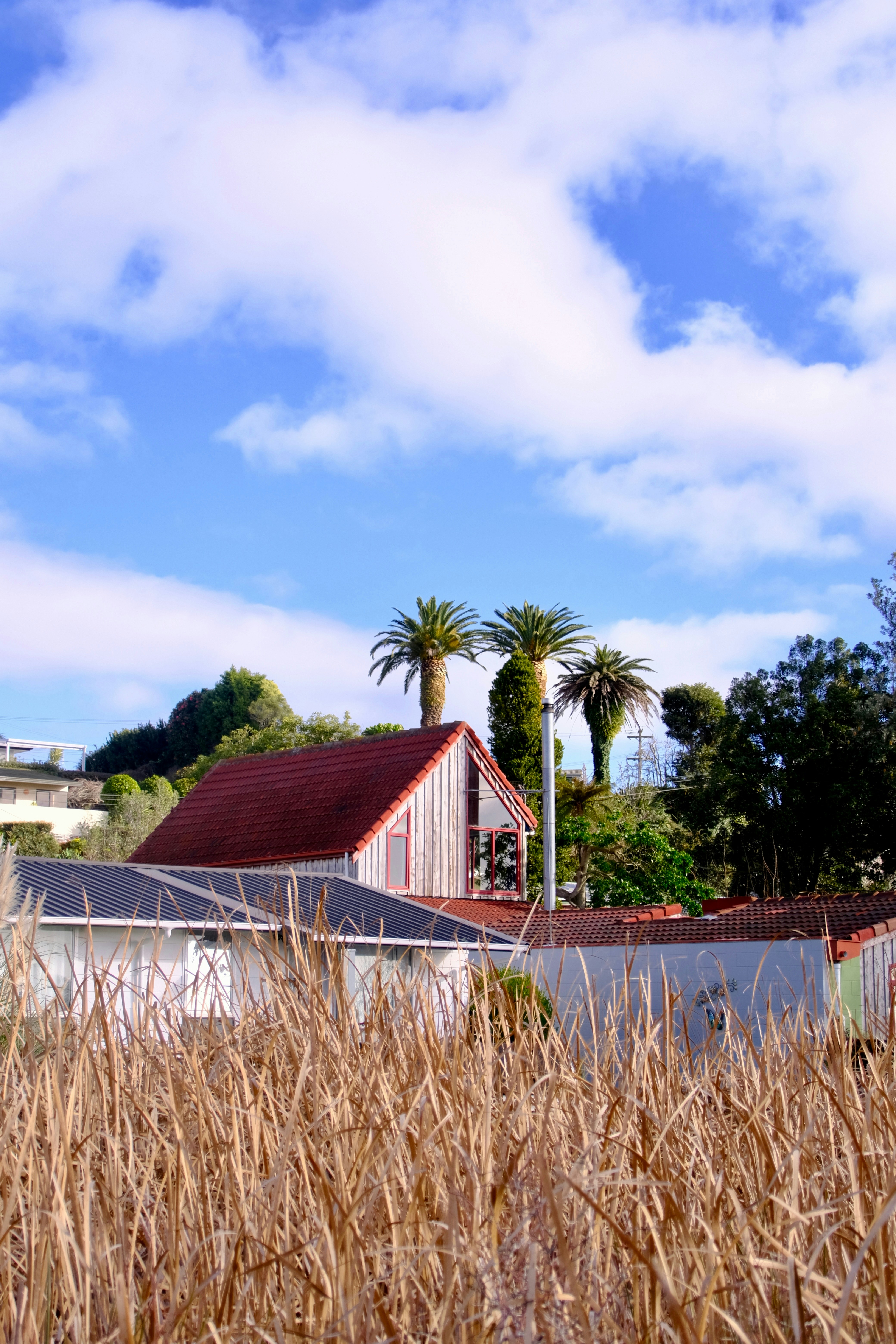 Red-roofed cottage rising above tall grasses under a bright blue sky