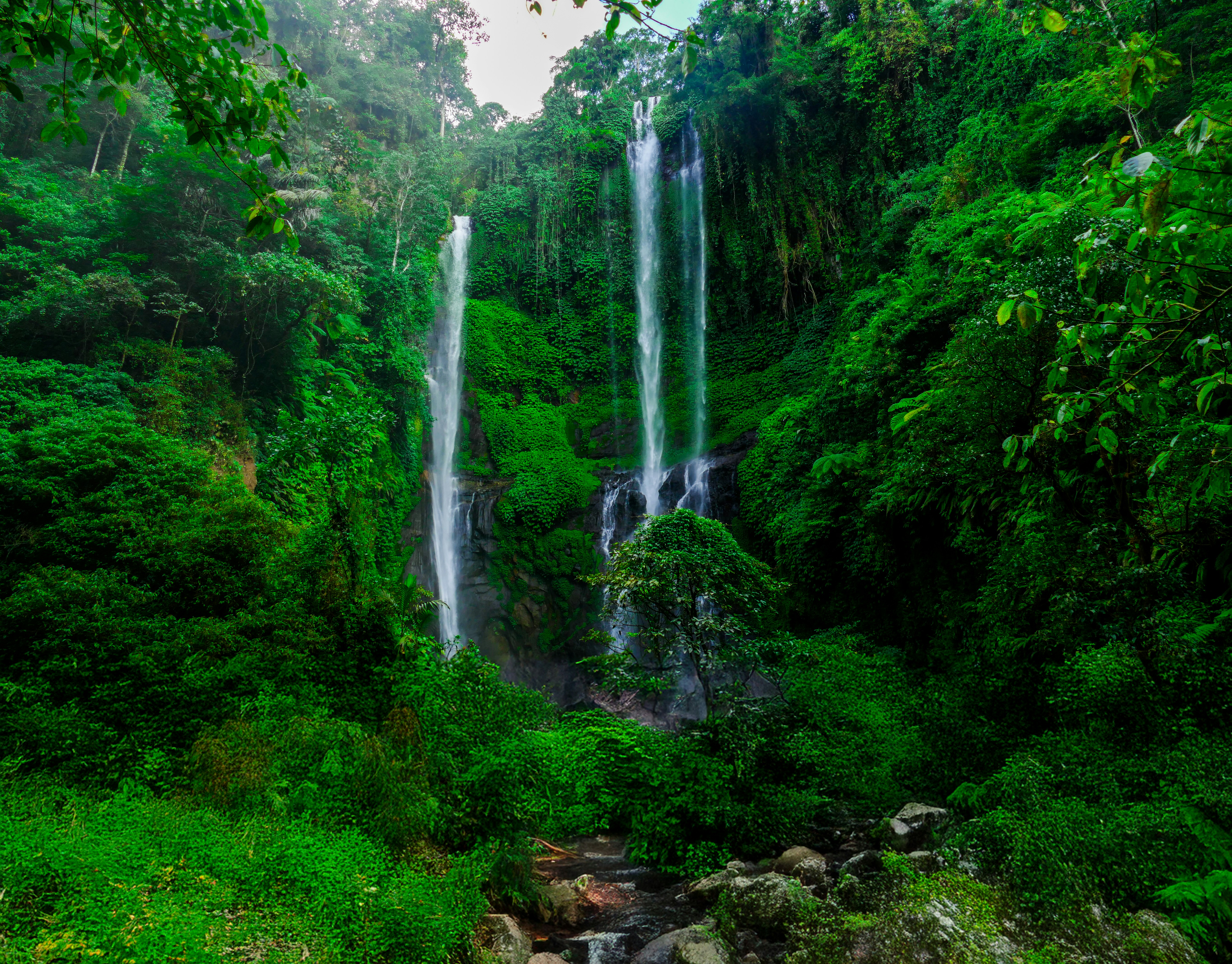 Verdant Cascade: A Trio of Falls Surrounded by Rainforest Green