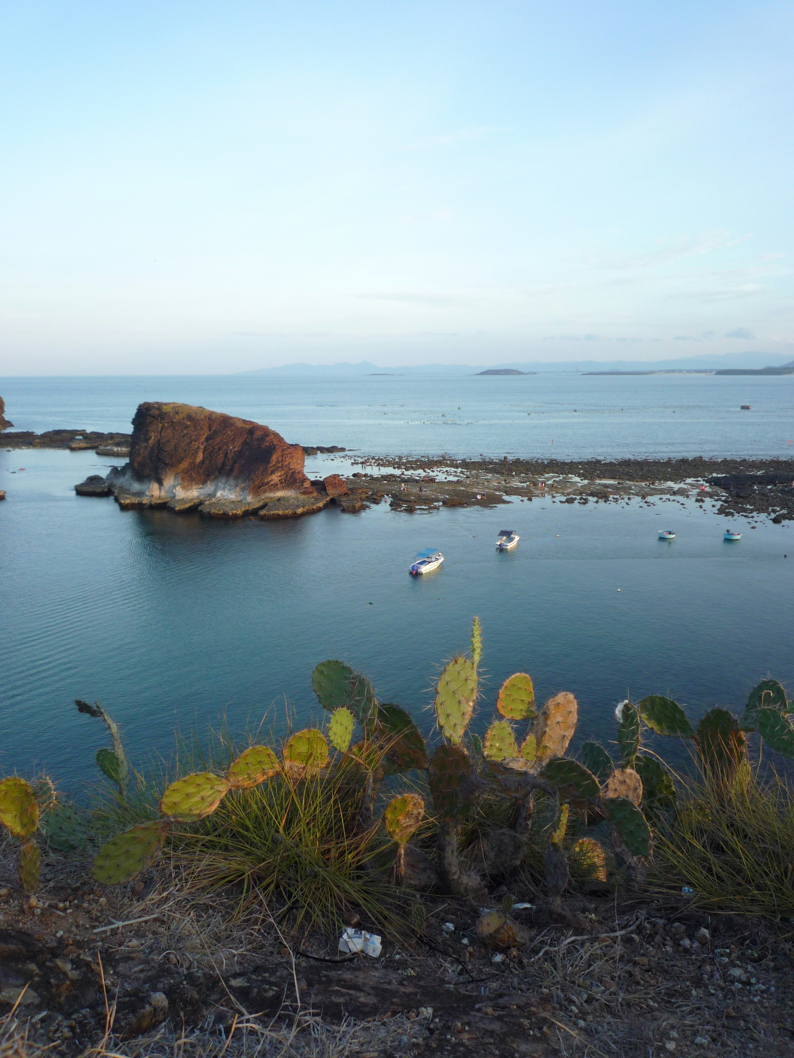 Calm Coastal Silence with Cactus Edge