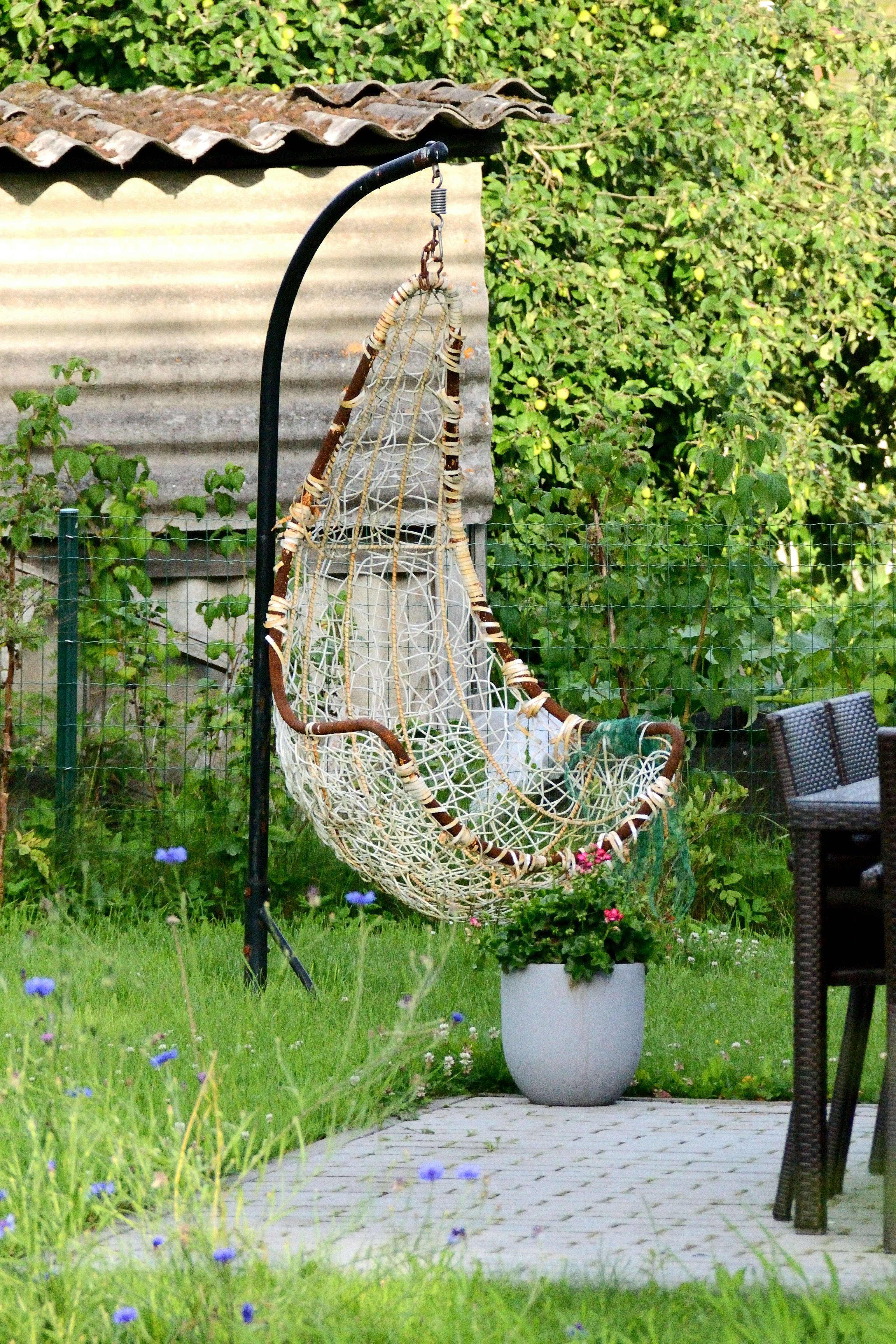 Suspended Retreat: A Woven Chair Haltingly Framed in a Verdant Yard