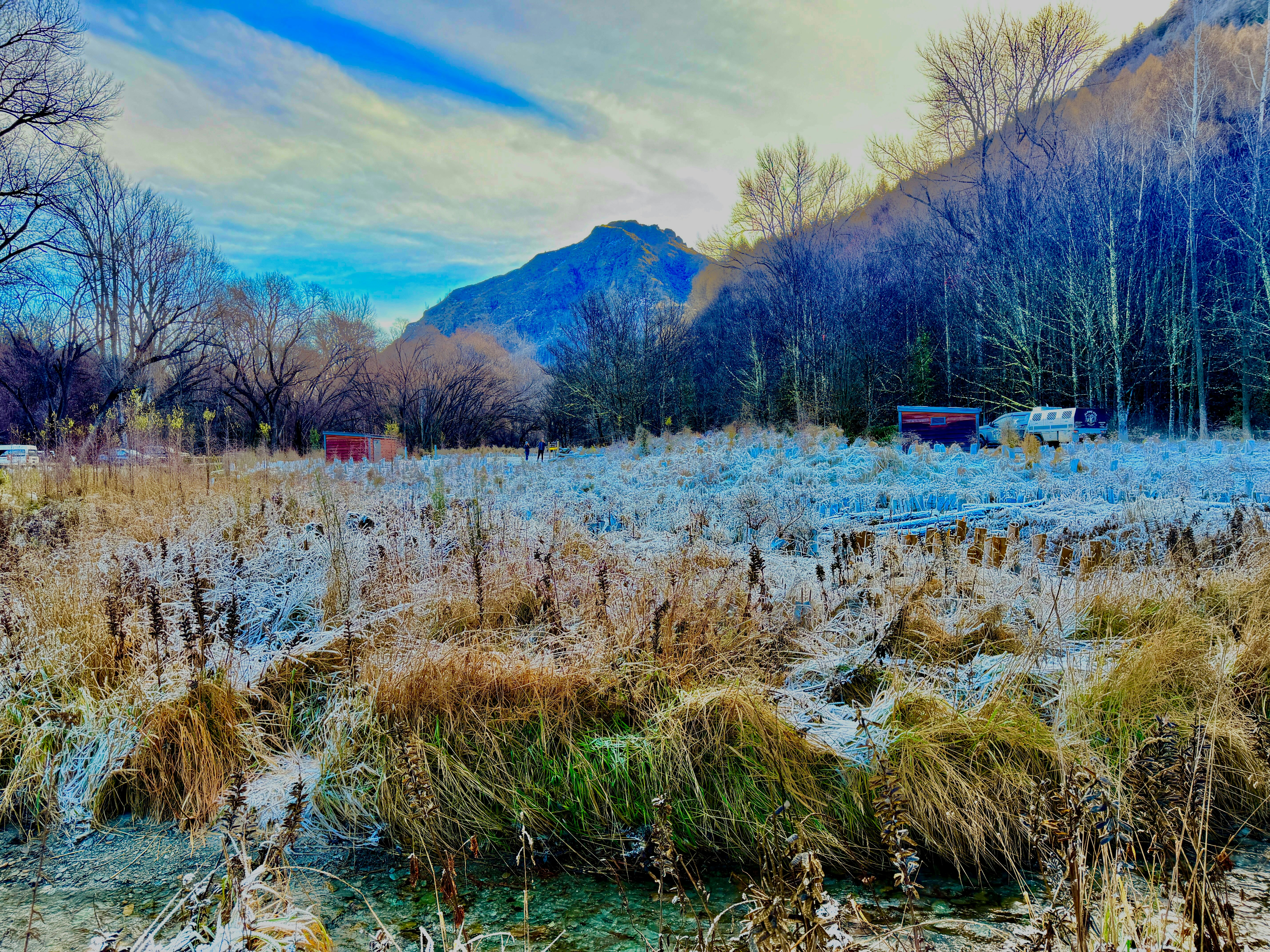 Winter Meadow under a Blue Sky