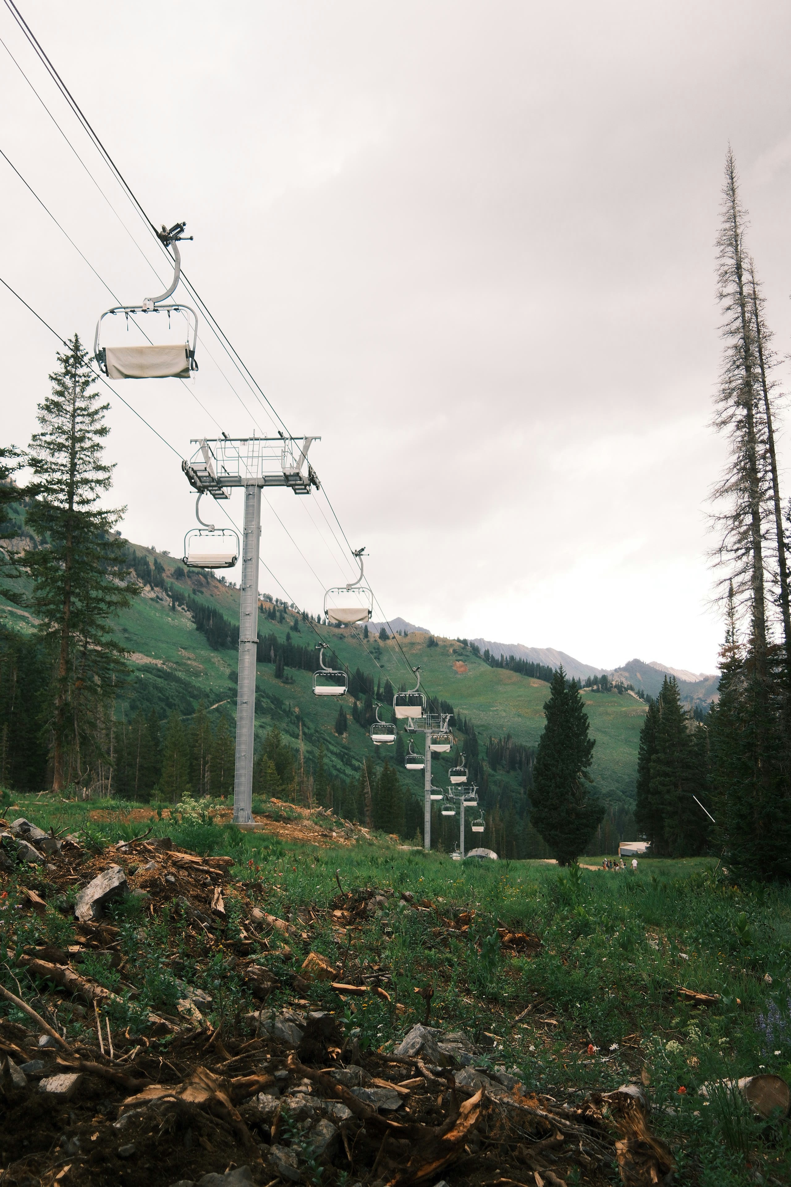 Chairlift through a Verdant Pass