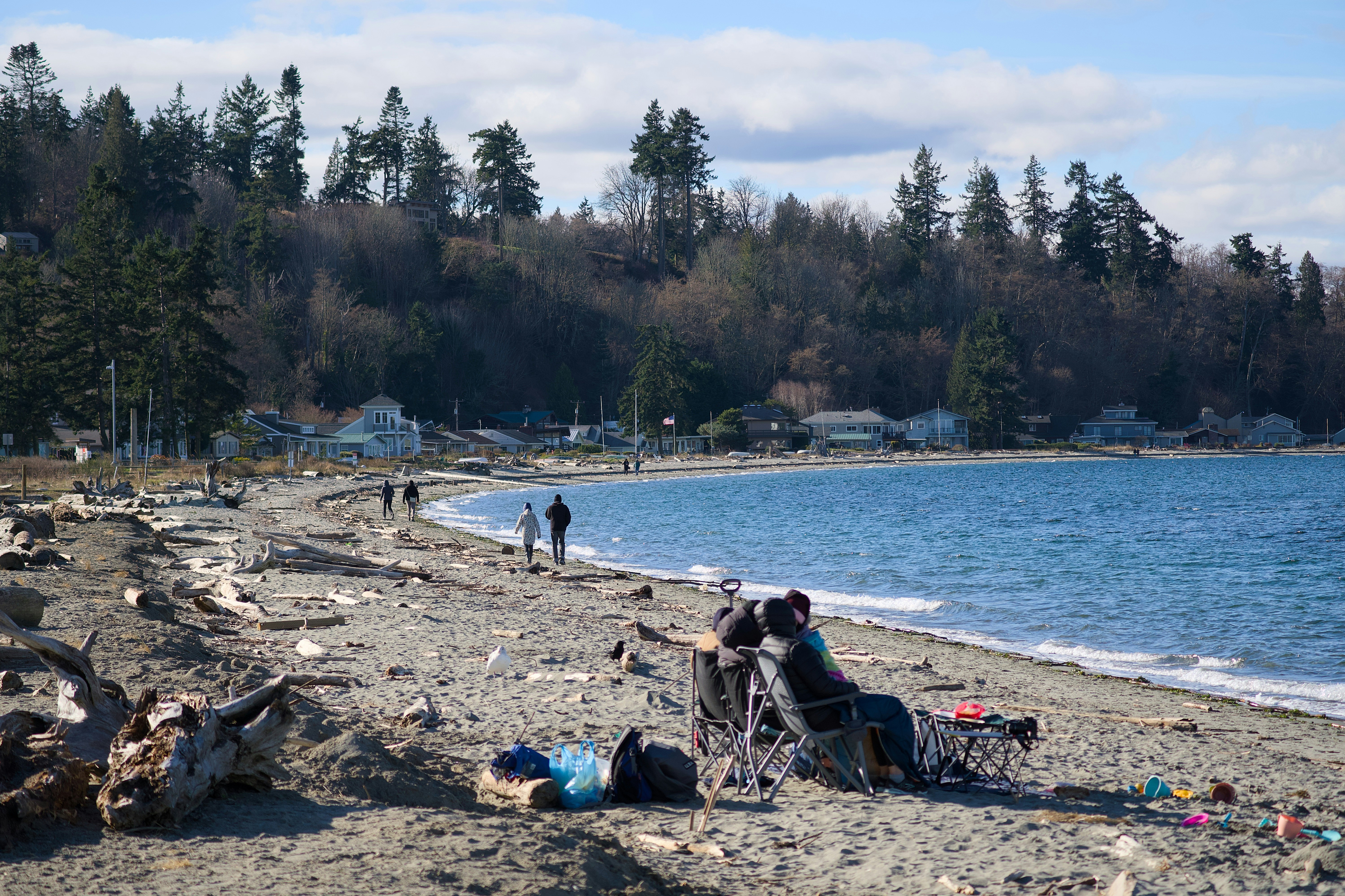 Sunlit shoreline retreat: families and driftwood by the calm bay
