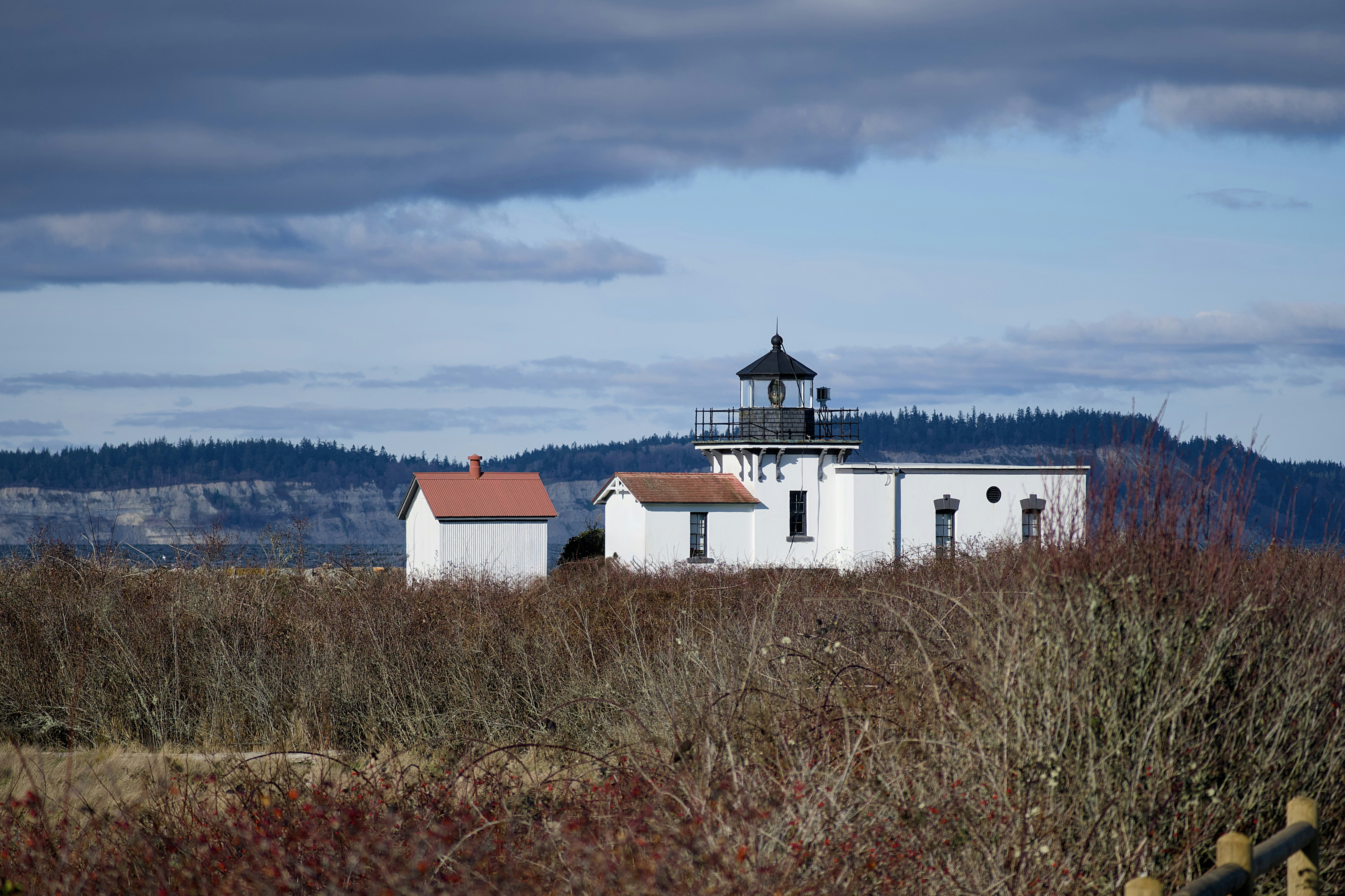 Lighthouse Keepers’ white silhouette against a coastal scrub