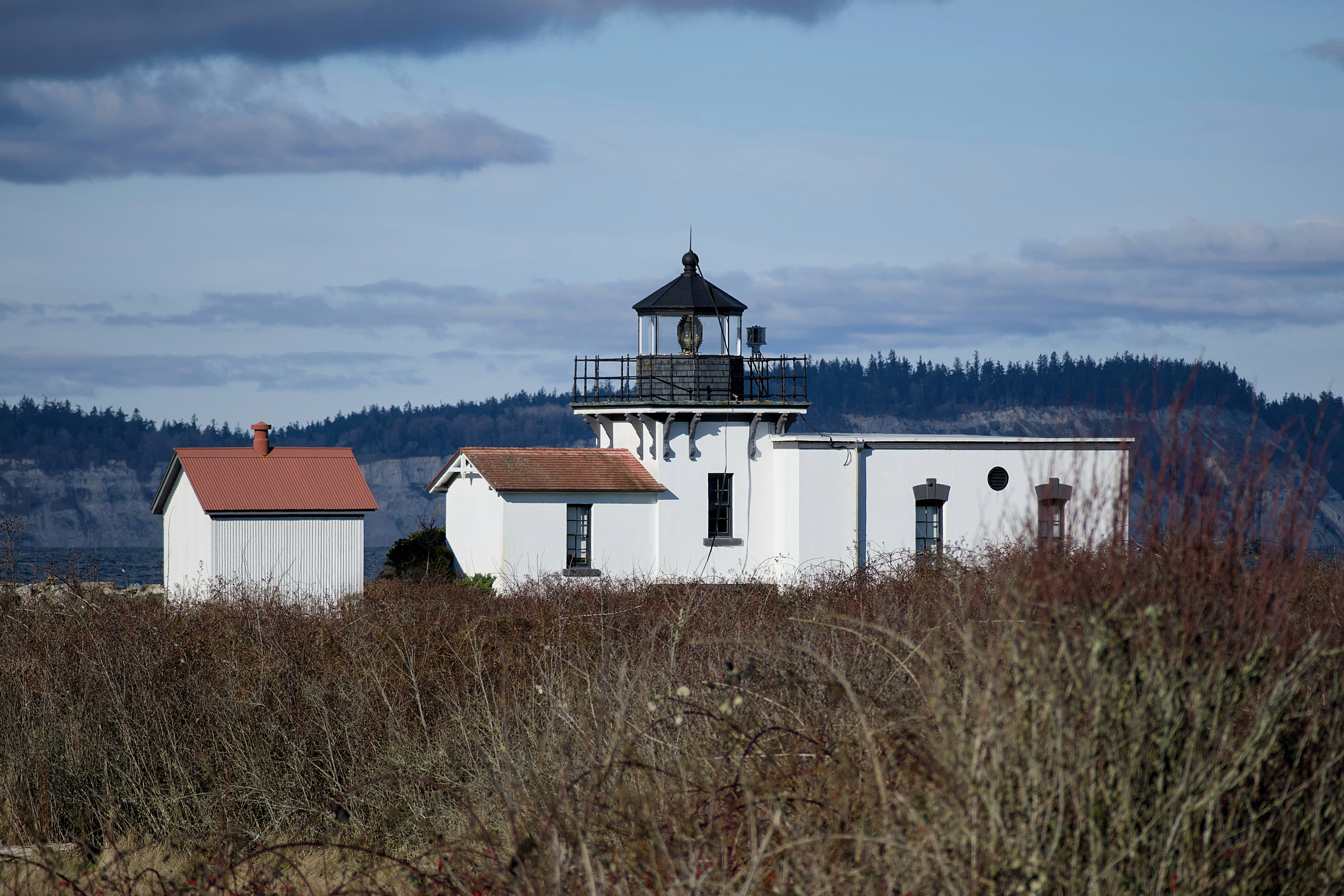 Mariner's Beacon: A Quiet Lighthouse on the Horizon