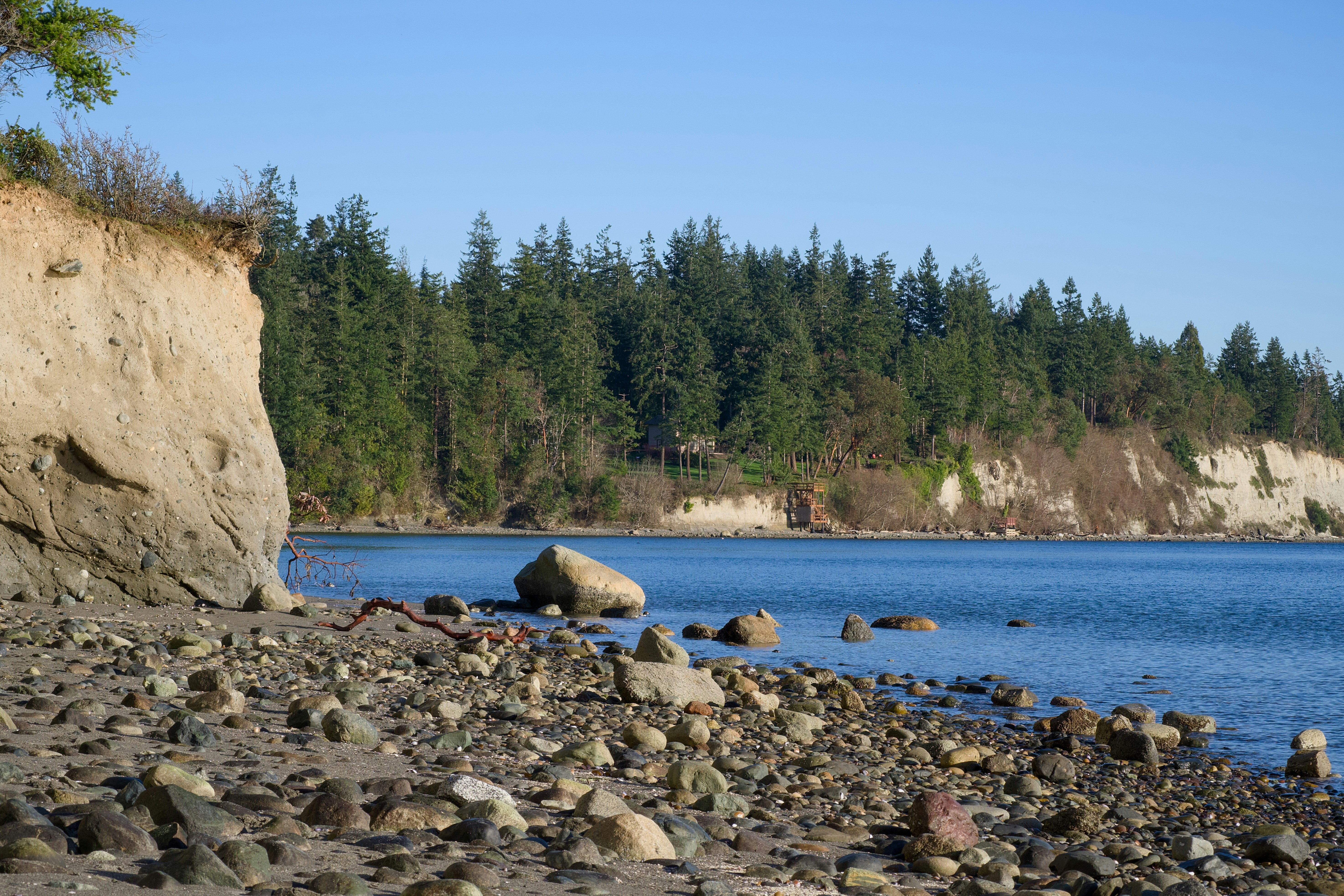 Pebble-strewn shore beneath a cliffside forest