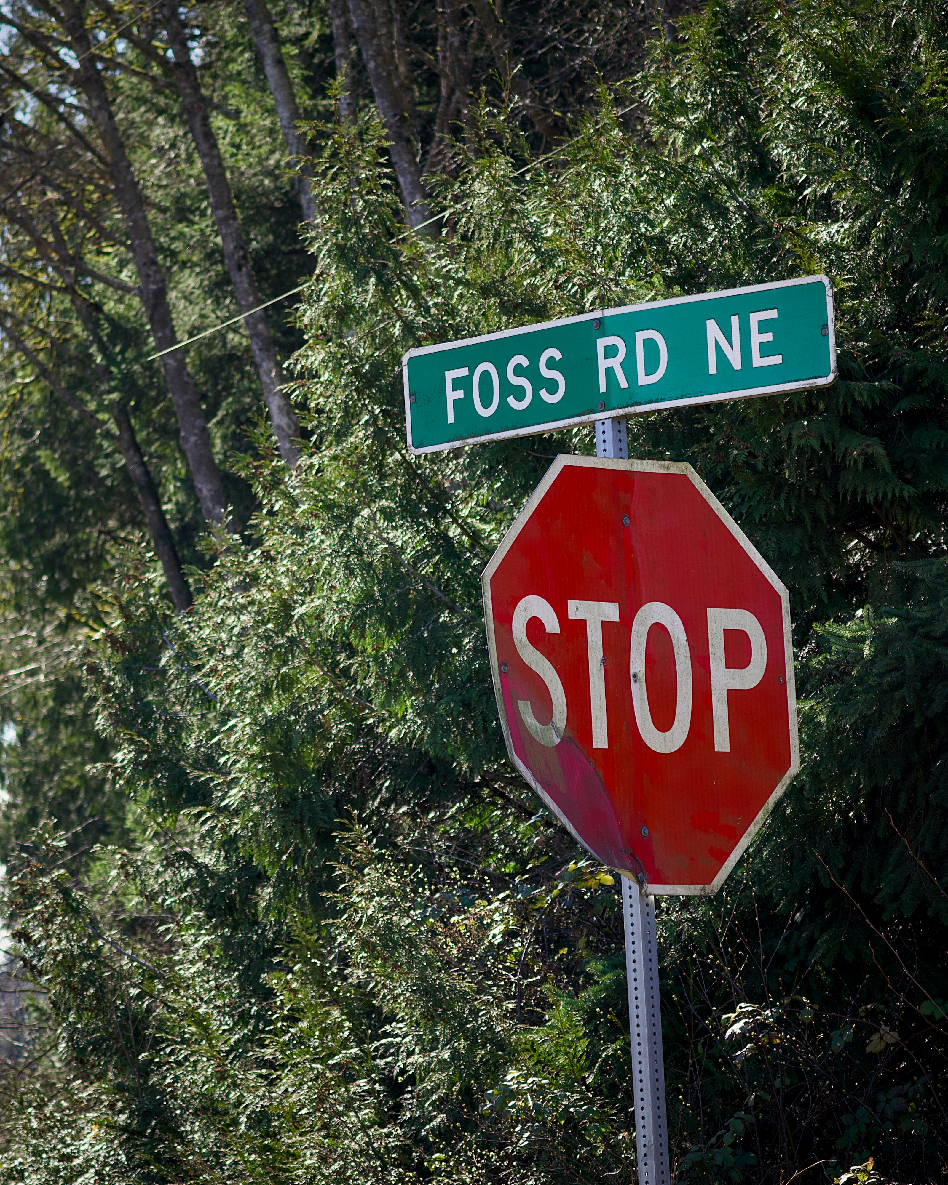 Stop Sign Under a Canopy of Green: Street Corner at Foss Rd NE