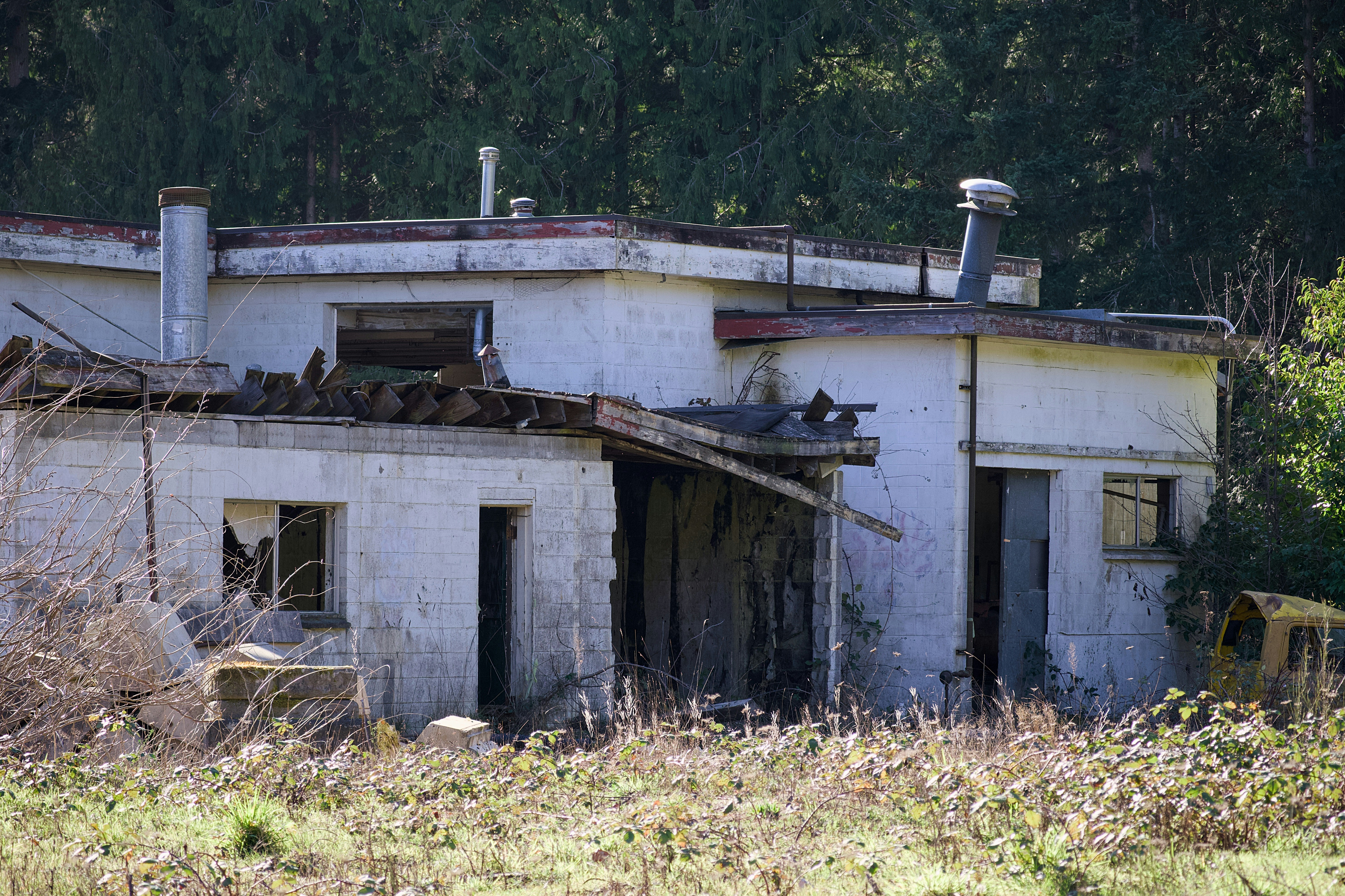 Abandoned Concrete Structure Reclaimed by Grass and Light