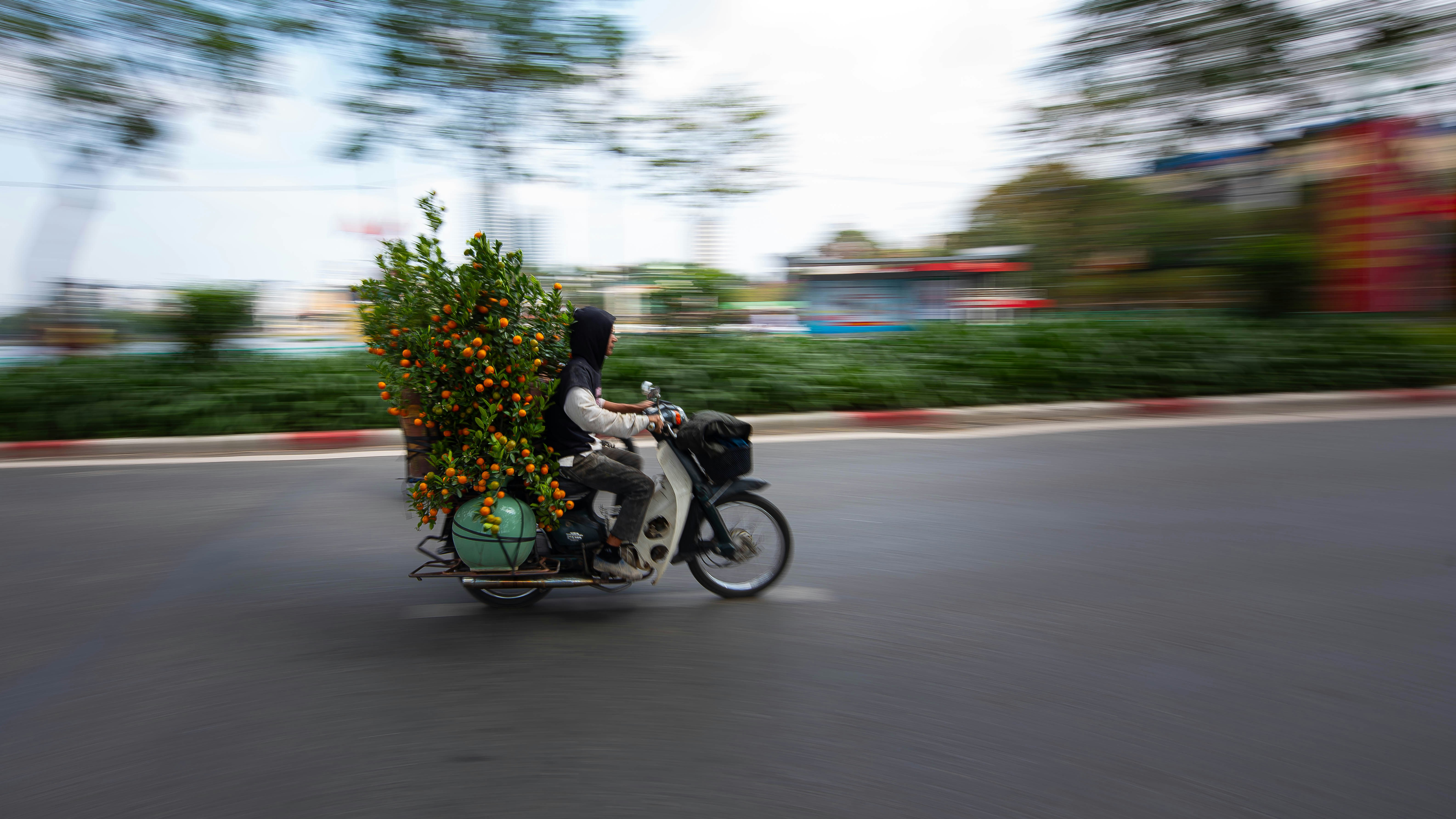 Motorcycle Courier Sprouting Green: A Cargo Blossom in Motion