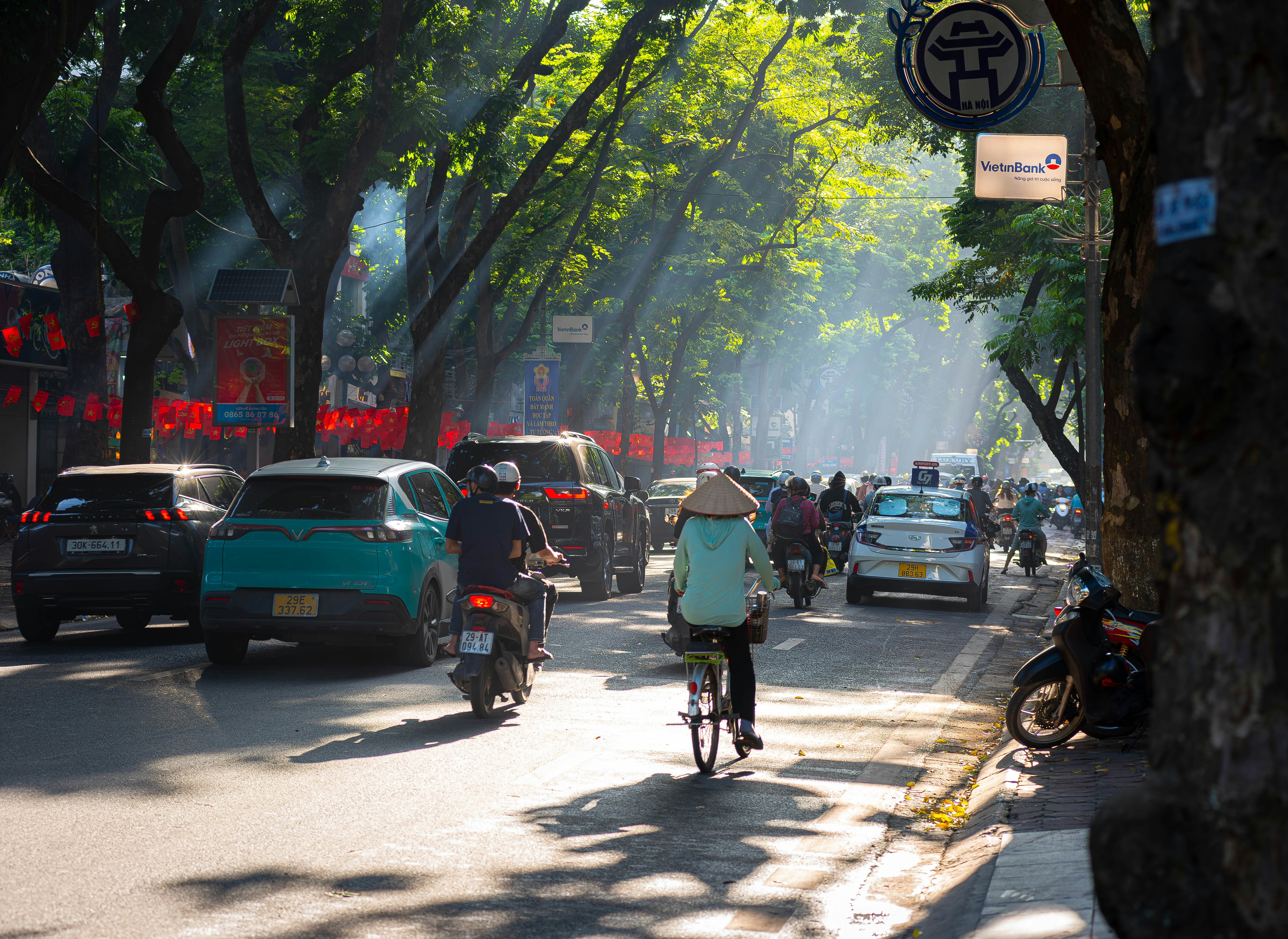 Sunlit Hanoi Street: Cyclists and Traffic under Mango Canopy