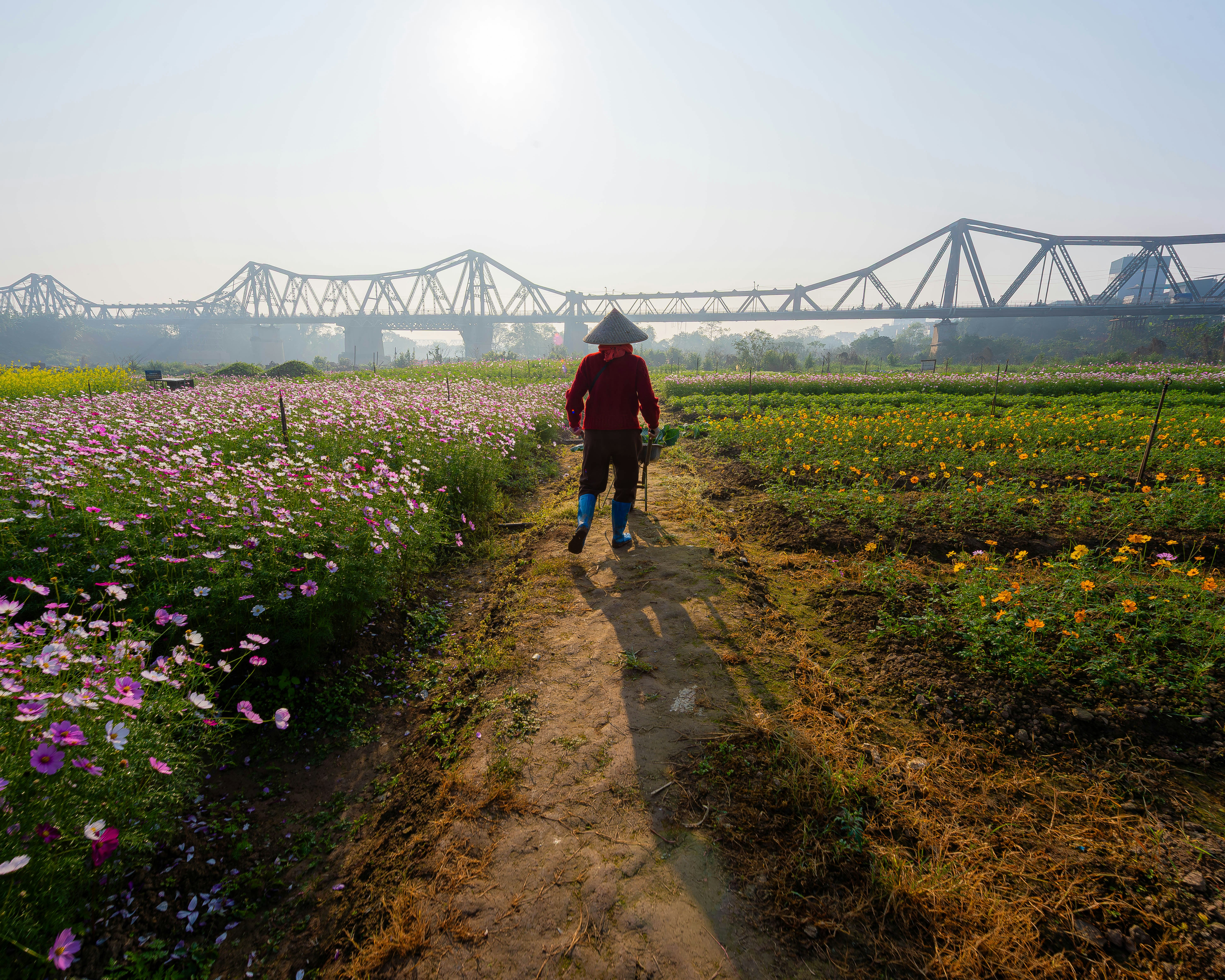 Farmer on a Dusty Path Beneath a Sprawling Bridge