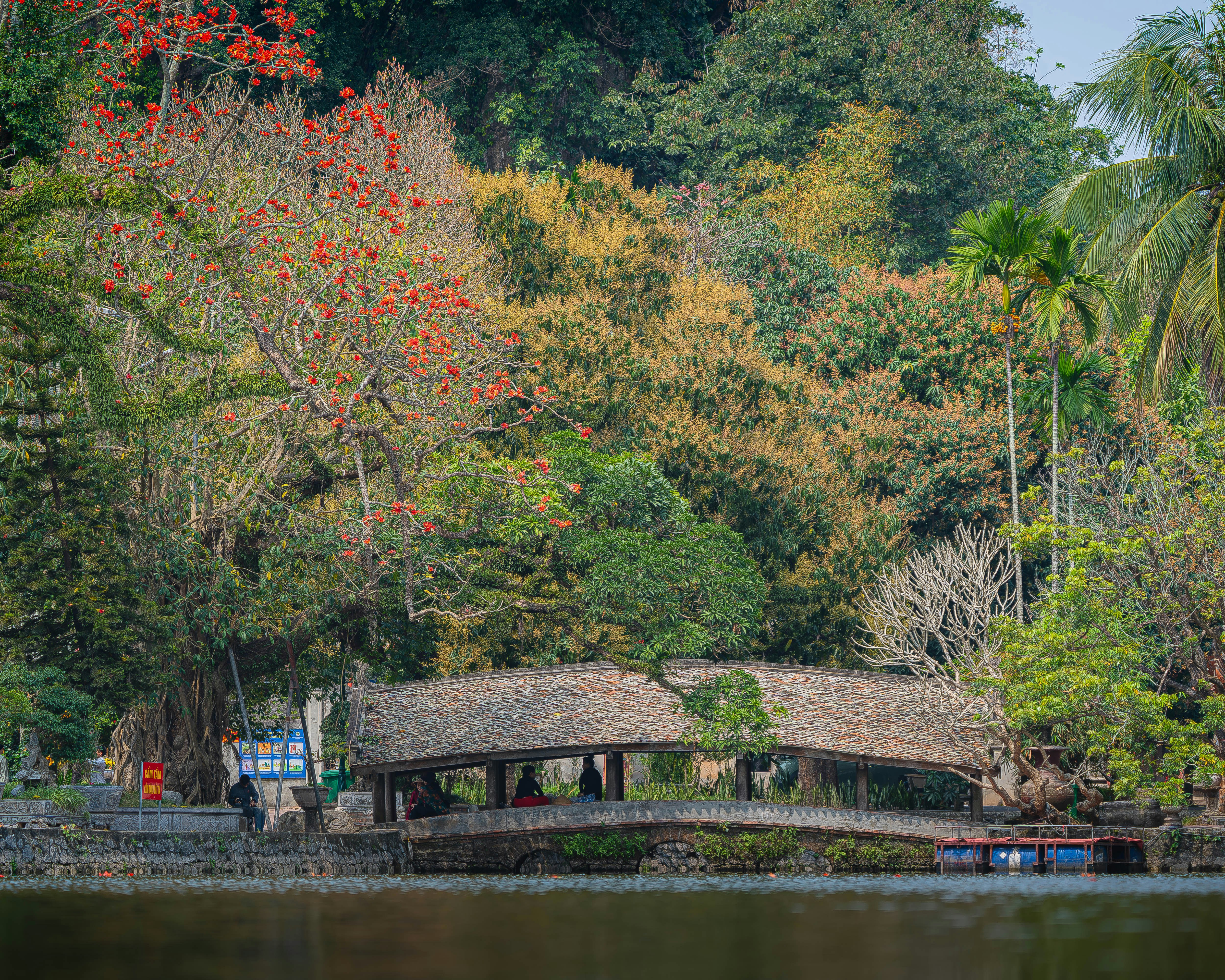 Temple Pavilion Nestled Along a Serene Garden Shore