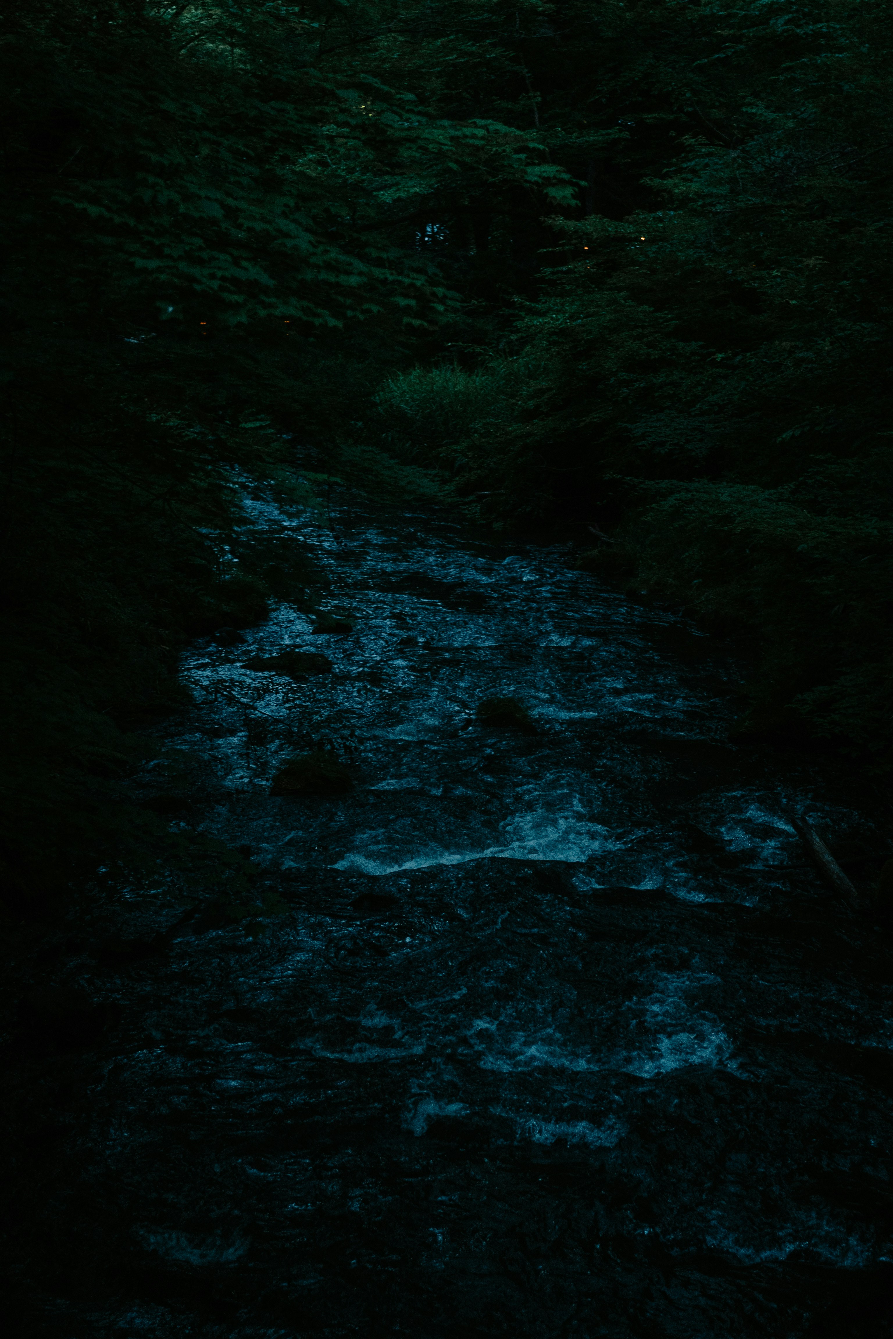 Midnight Stream through the Quiet Pines