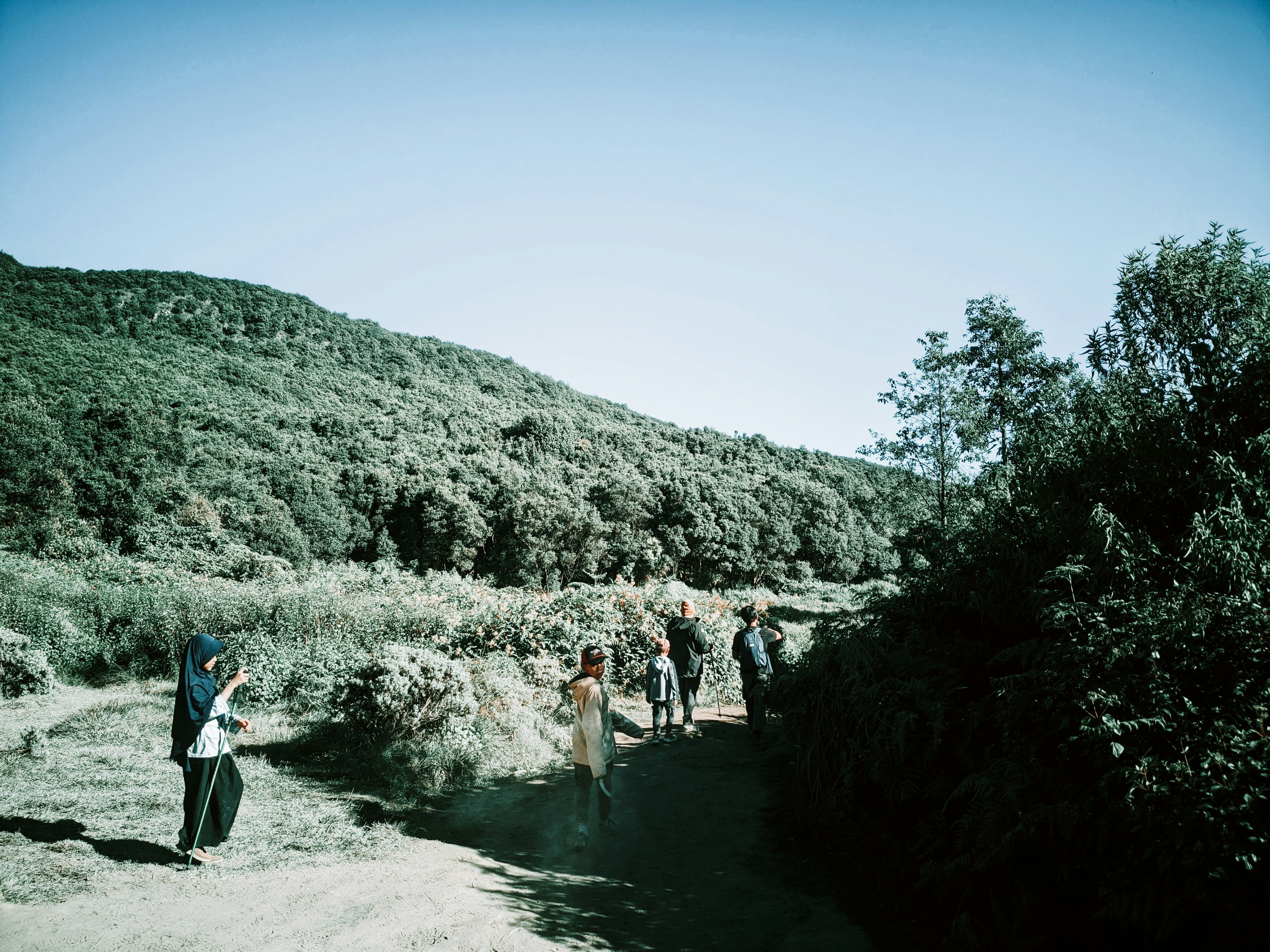 Hikers on a sunlit trail weaving through coastal scrub