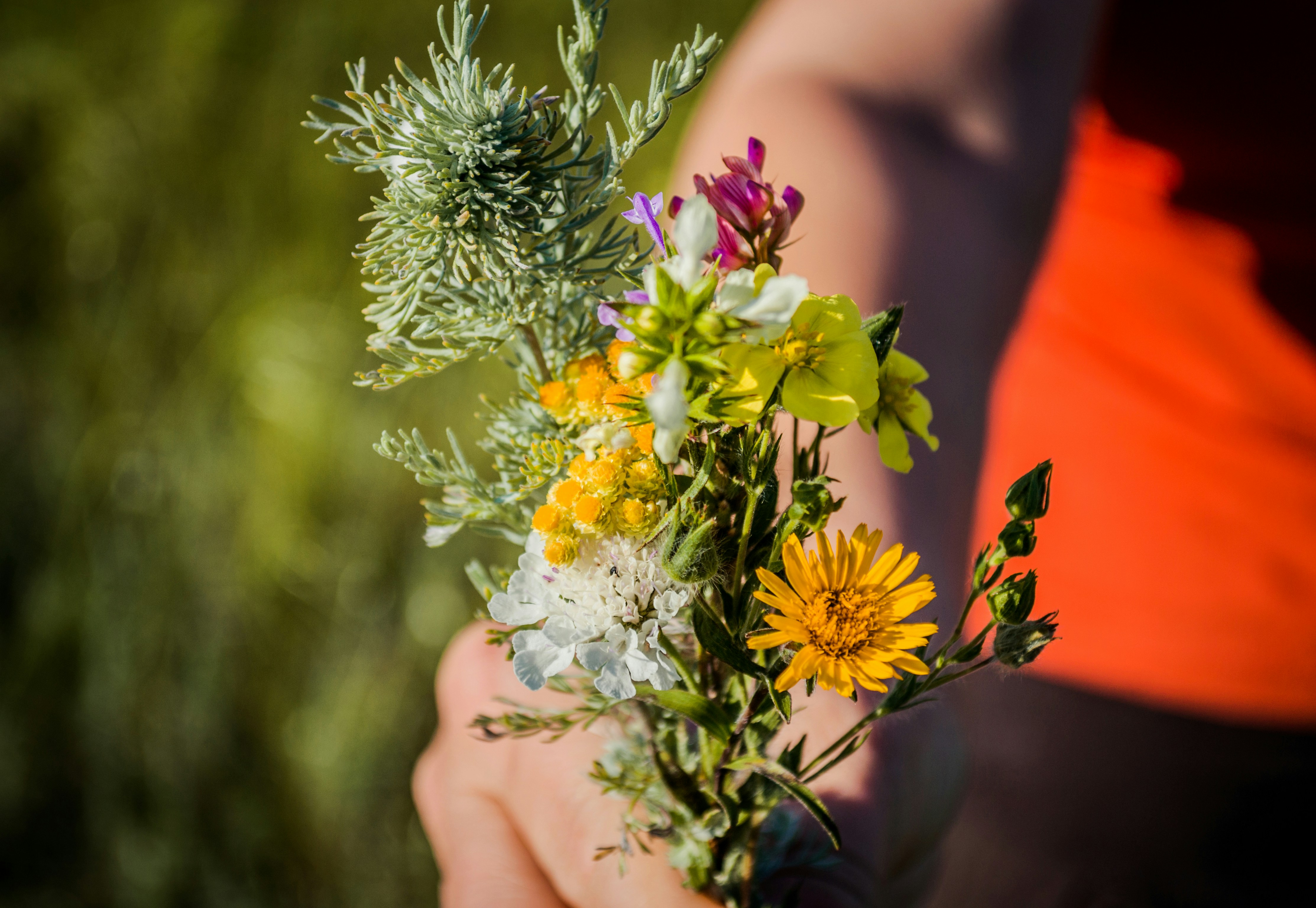 Vibrant bouquet of wildflowers held toward the camera, with a blurred natural background and a hint of bright orange clothing.