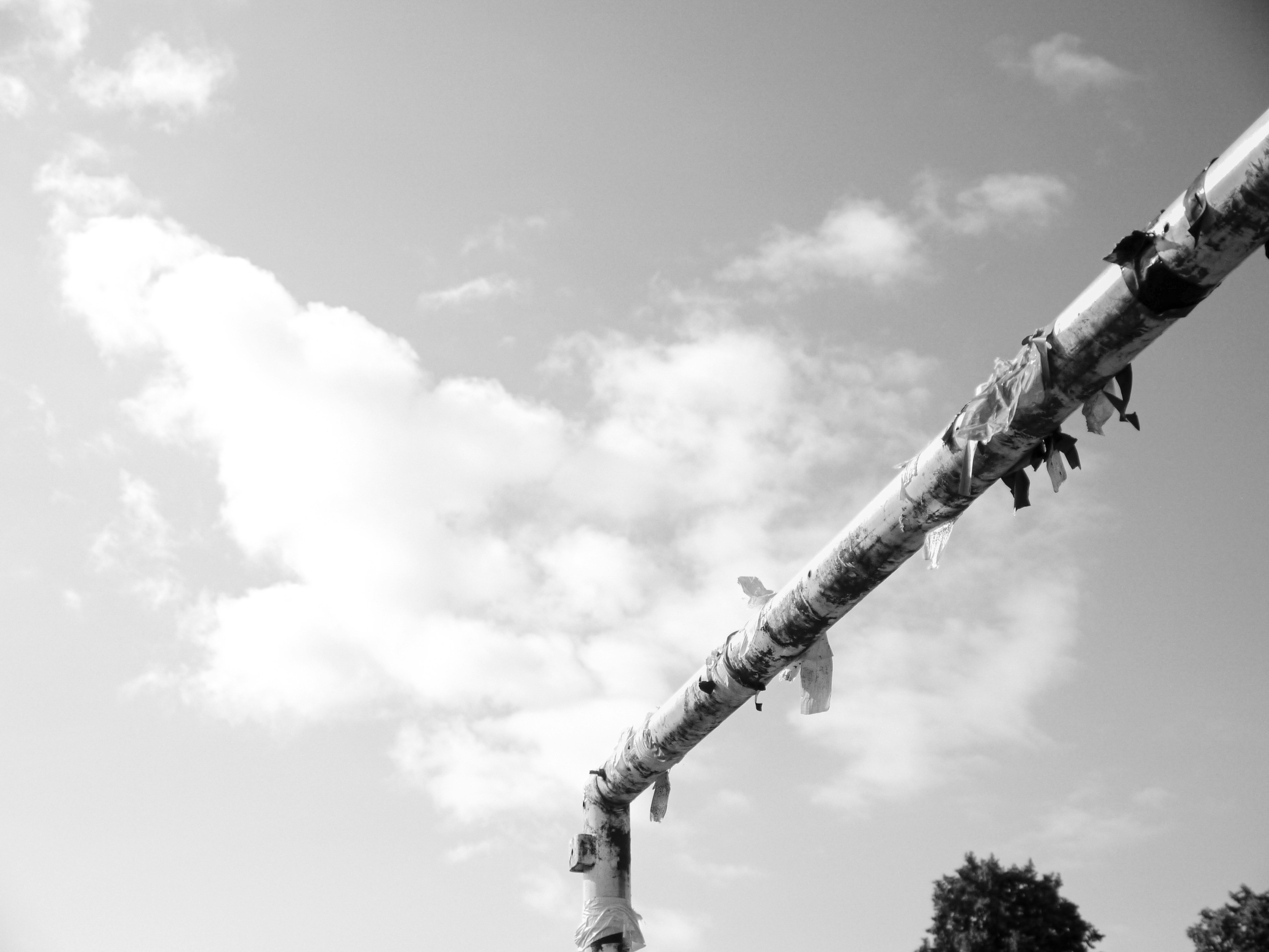 Leaning Line: A Frayed Trellis against an Open Sky