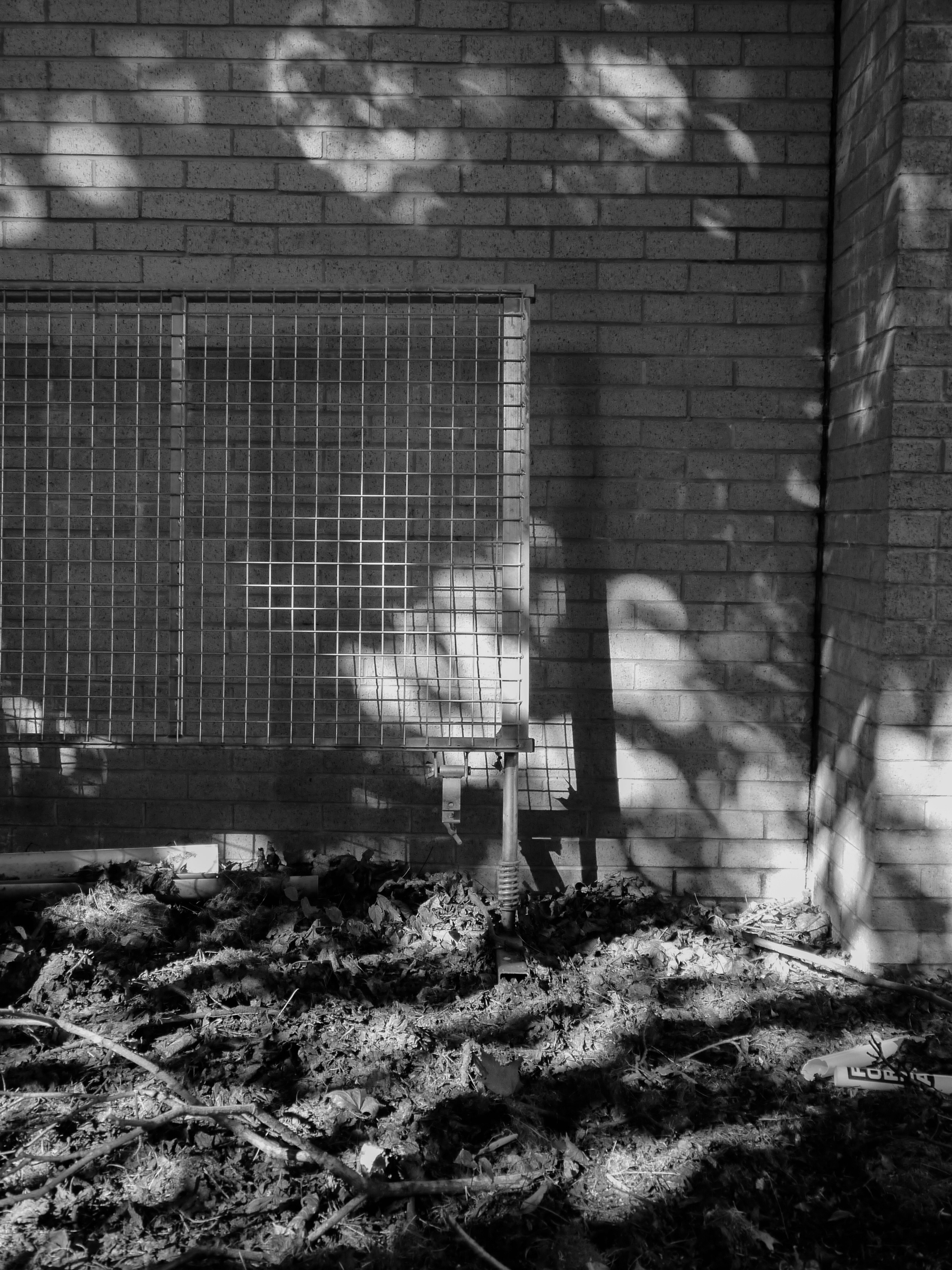 Shadows on a Wire Gate: Quiet Framing of an Abandoned Space